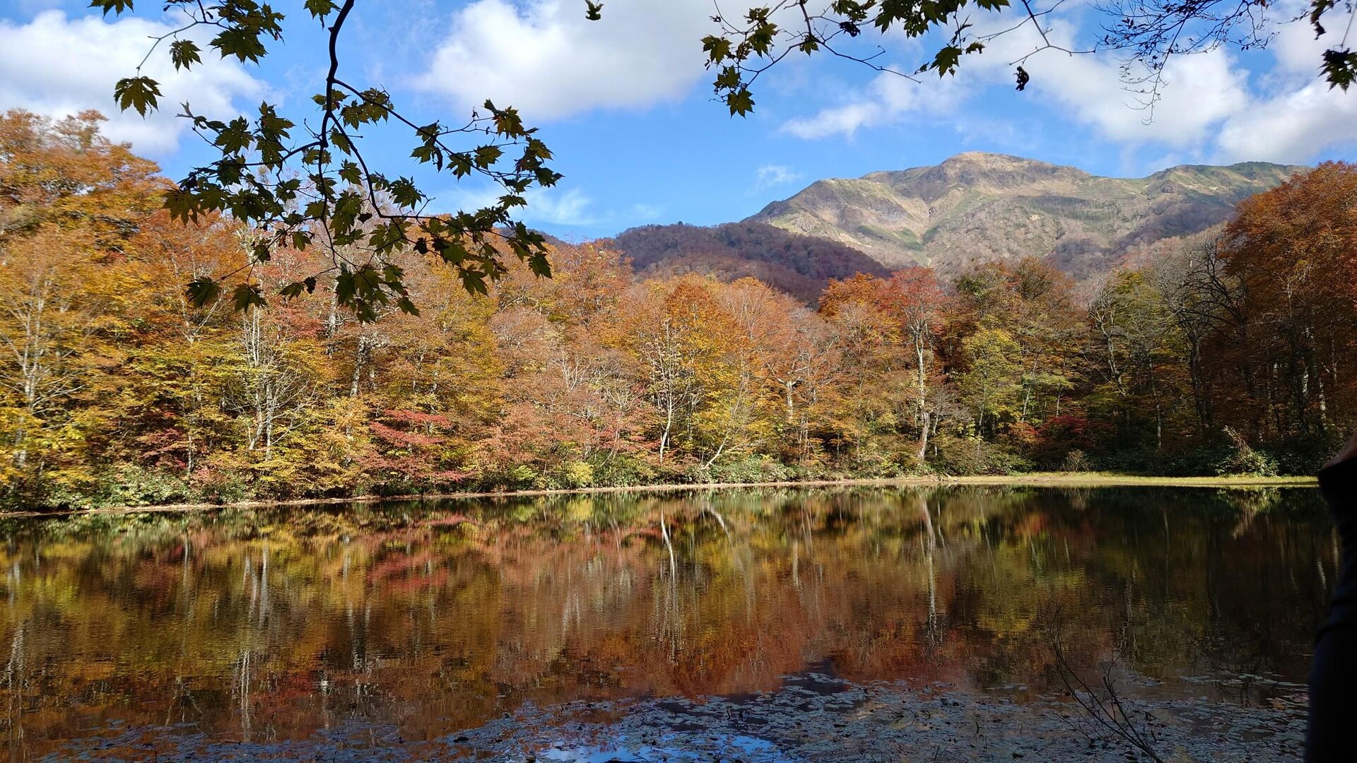 刈込池2022 / **MAI**さんの白山・別山・銚子ヶ峰の活動データ | YAMAP / ヤマップ
