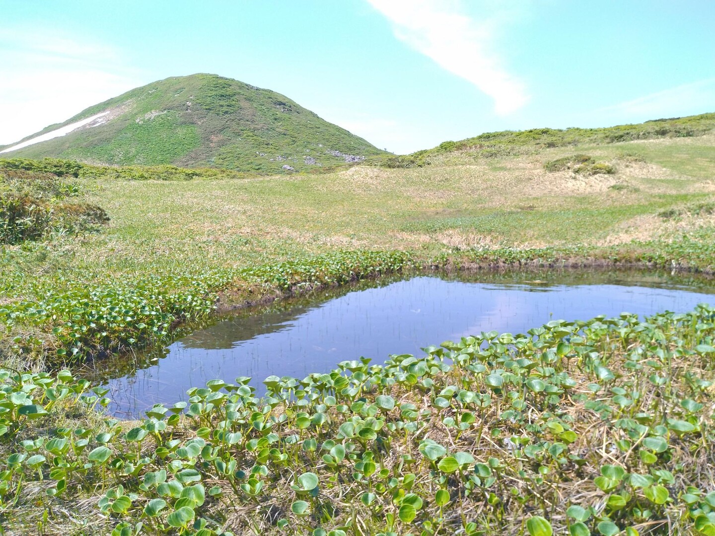 happy days♪happy time♪happy smile♫ / BLACK&REDさんの焼石岳・兎森山・鷲ヶ森山の活動データ | YAMAP / ヤマップ