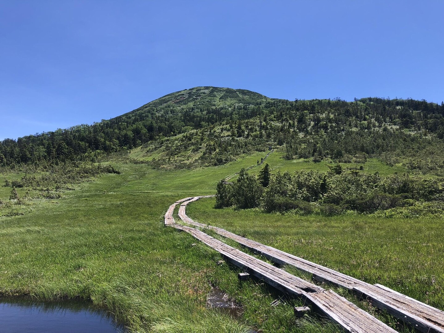 燧ヶ岳 山開き / aomoriさんの尾瀬・燧ヶ岳の活動データ | YAMAP / ヤマップ