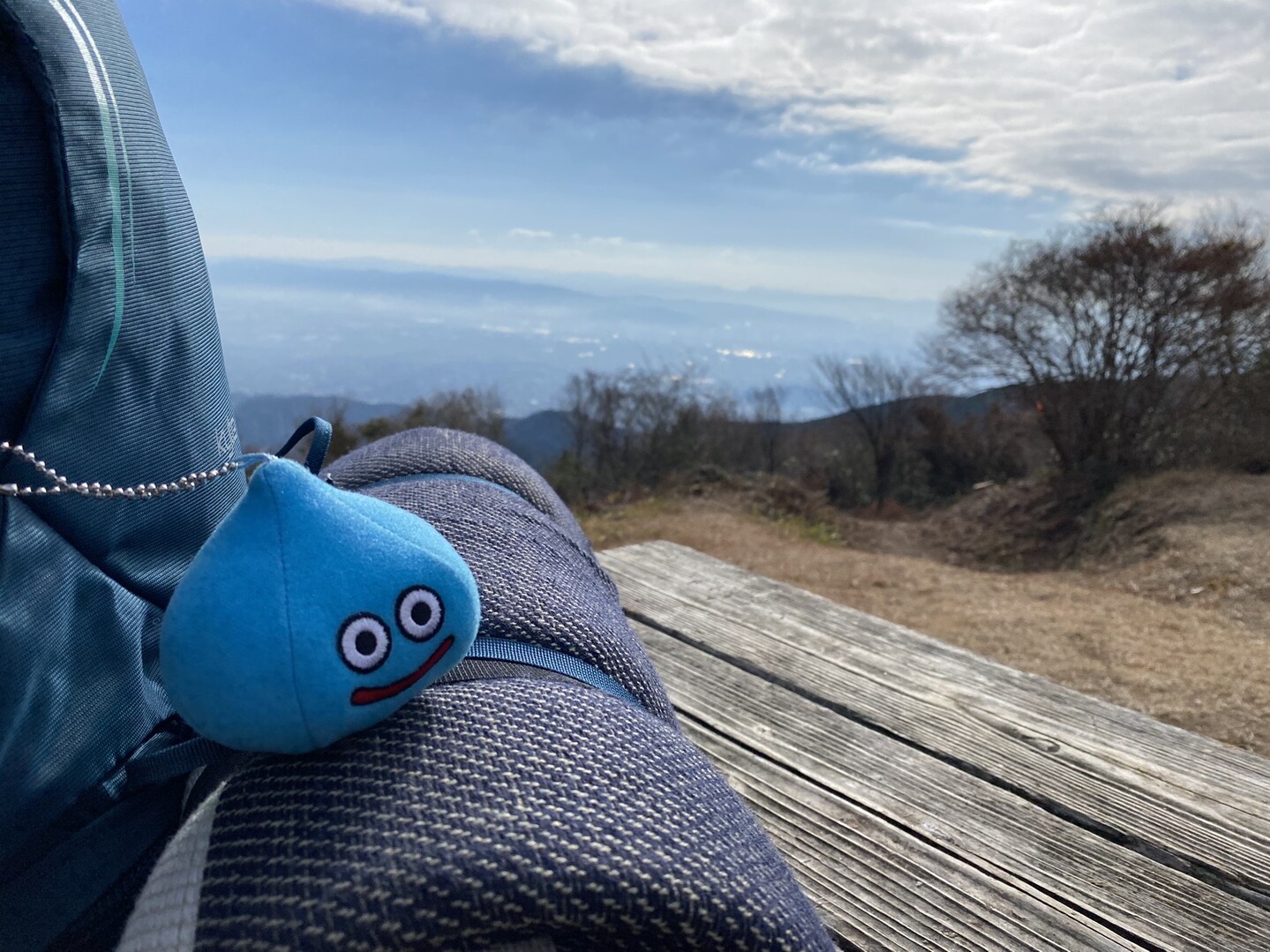 五ヶ山・九千部山 / Yo-chiさんの九千部山・石谷山の活動データ | YAMAP / ヤマップ