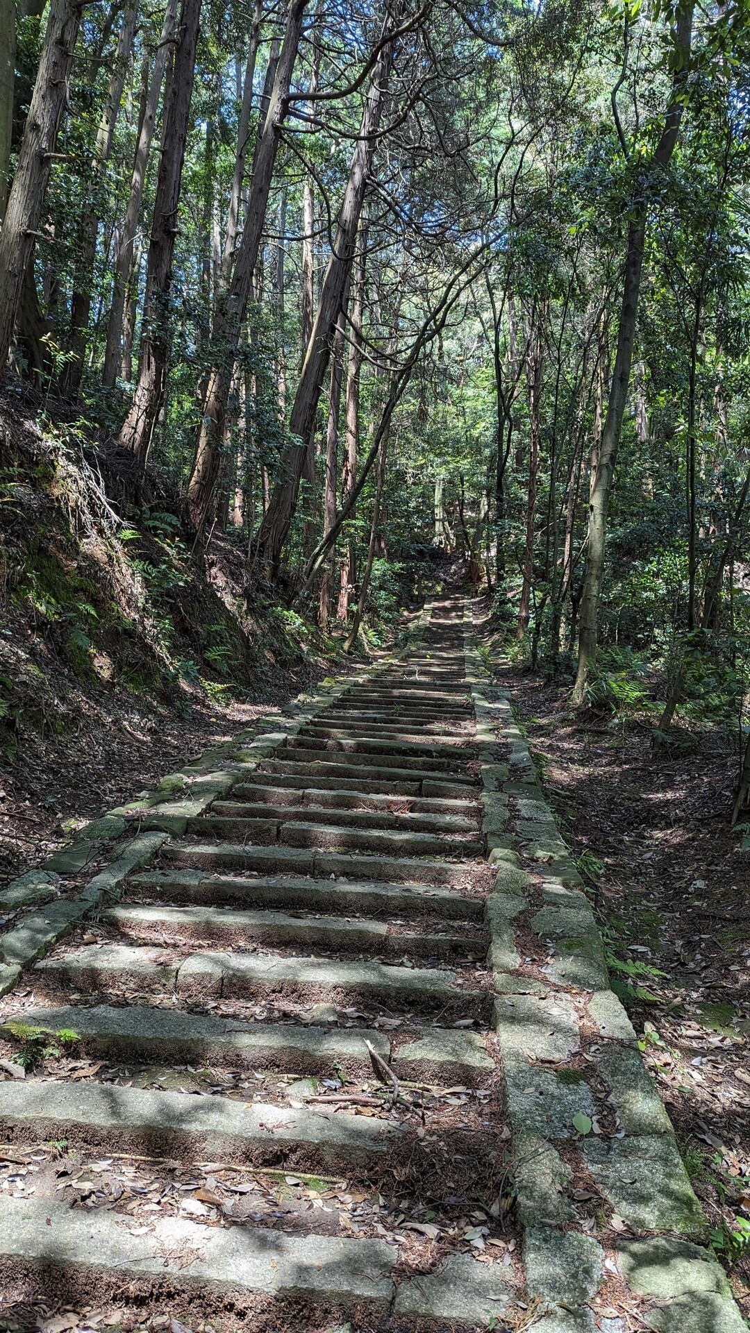 20240428 奈良 山の辺の道 天理〜帯解 / Kyo_omiさんの大国見山の活動データ | YAMAP / ヤマップ