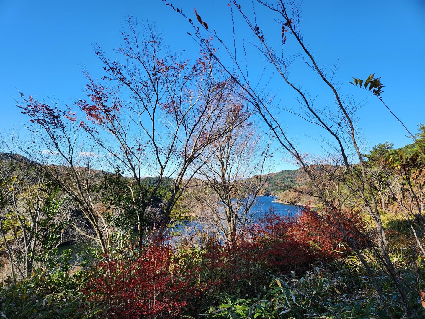 三河湖園地を散策 / 登山の写真18枚目 / ここも… | YAMAP / ヤマップ