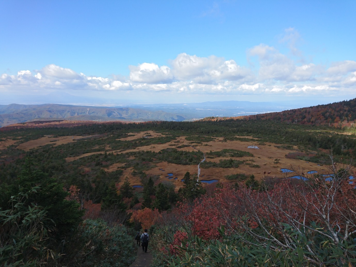 八甲田山(大岳) / kokoさんの八甲田山・高田大岳・雛岳の活動データ | YAMAP / ヤマップ