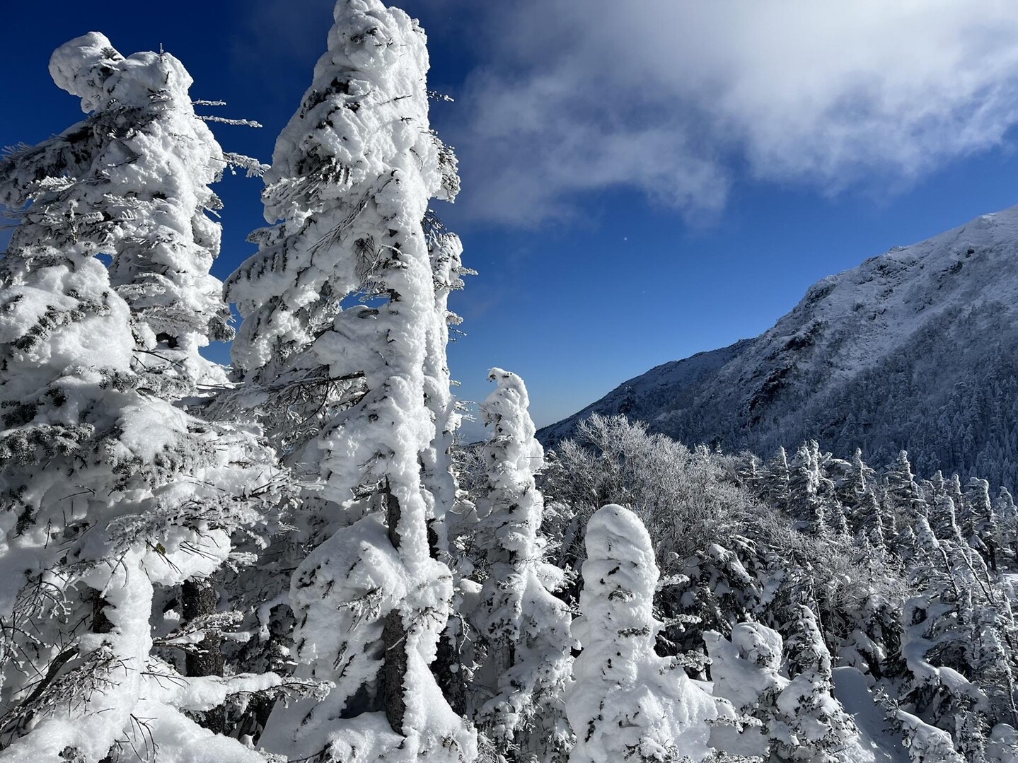 西天狗岳・東天狗岳 / yuhao.Zさんの八ヶ岳（赤岳・硫黄岳・天狗岳）の活動データ | YAMAP / ヤマップ