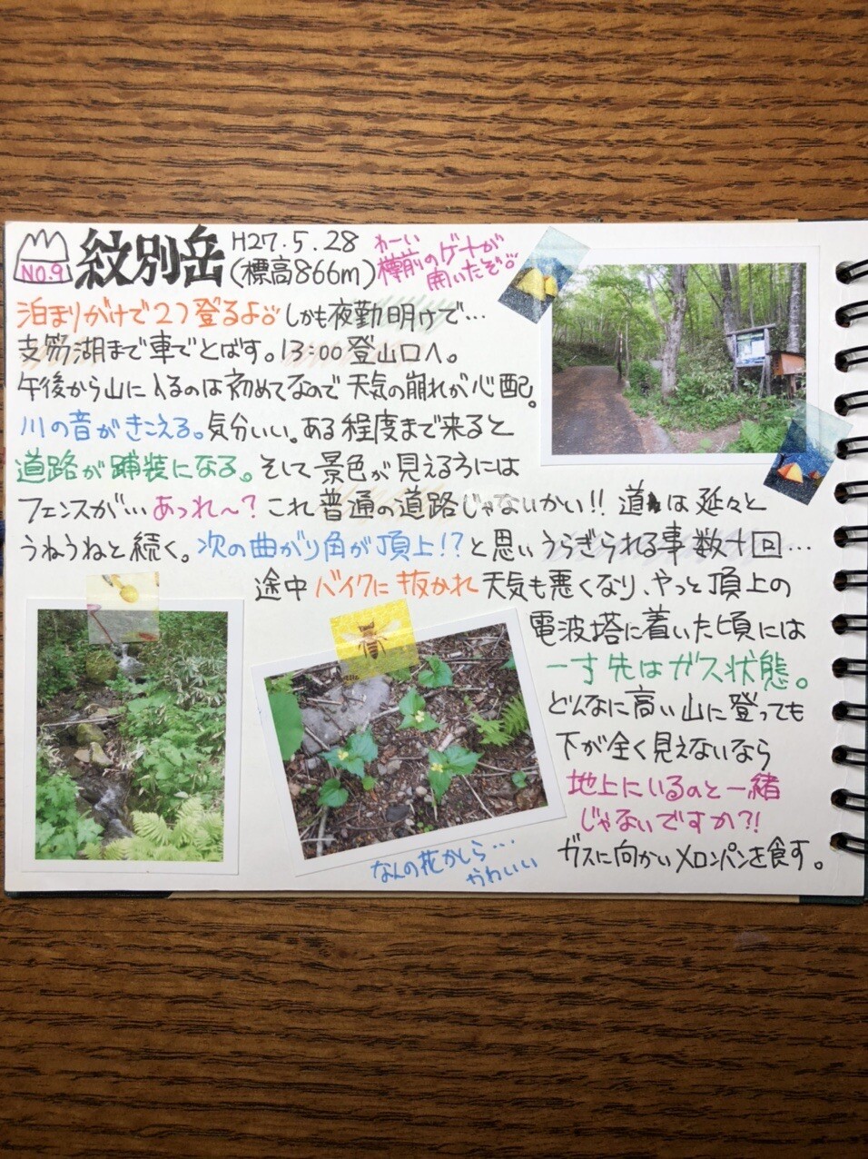 へたれ登山⛰ No.9 紋別岳 支笏湖周... / ふみQさんのモーメント | YAMAP / ヤマップ