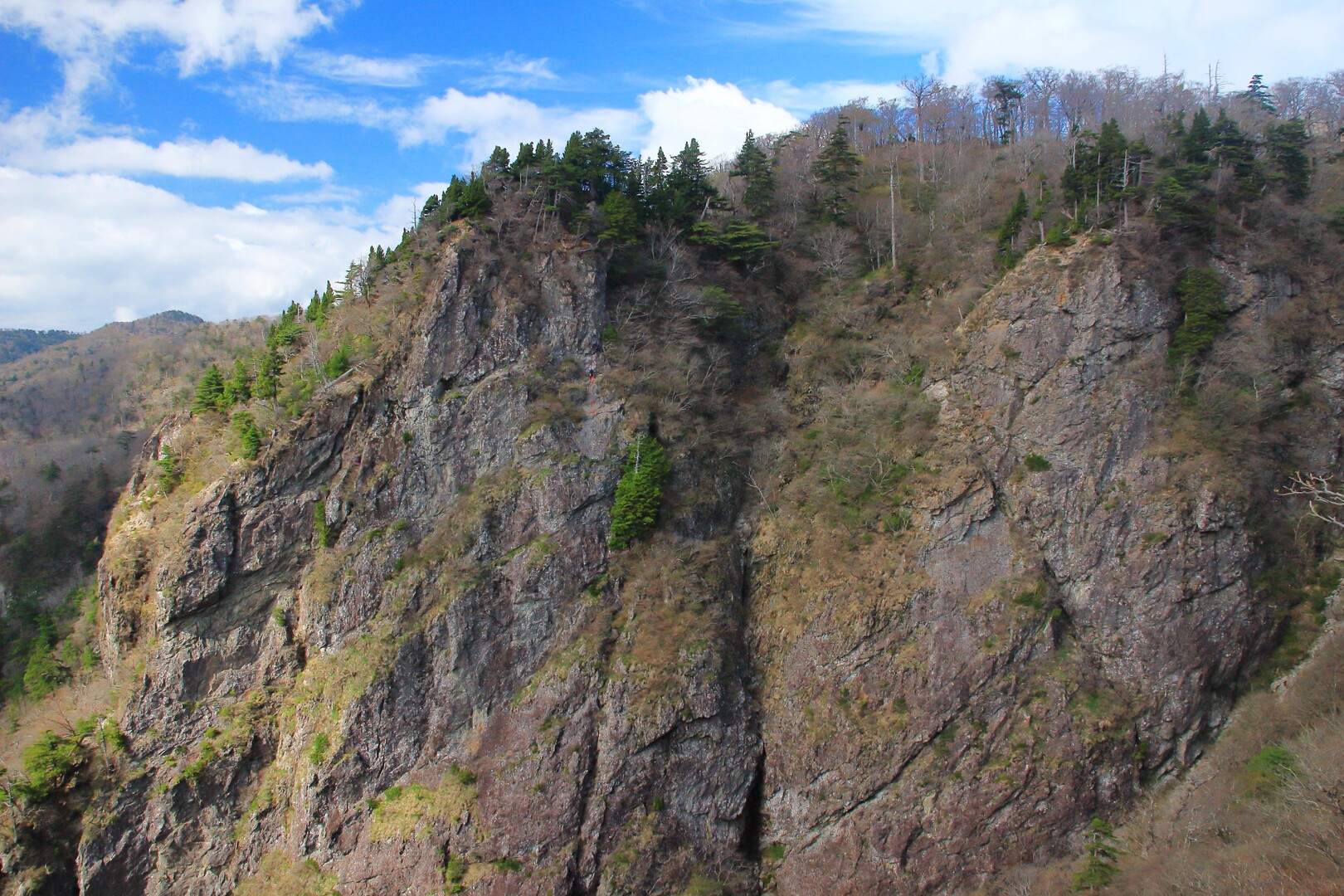大台ケ原「ブッシュマンでお別れ会」の巻 / tamu-chanさんの大台ヶ原山・日出ヶ岳・大杉谷の活動データ | YAMAP / ヤマップ