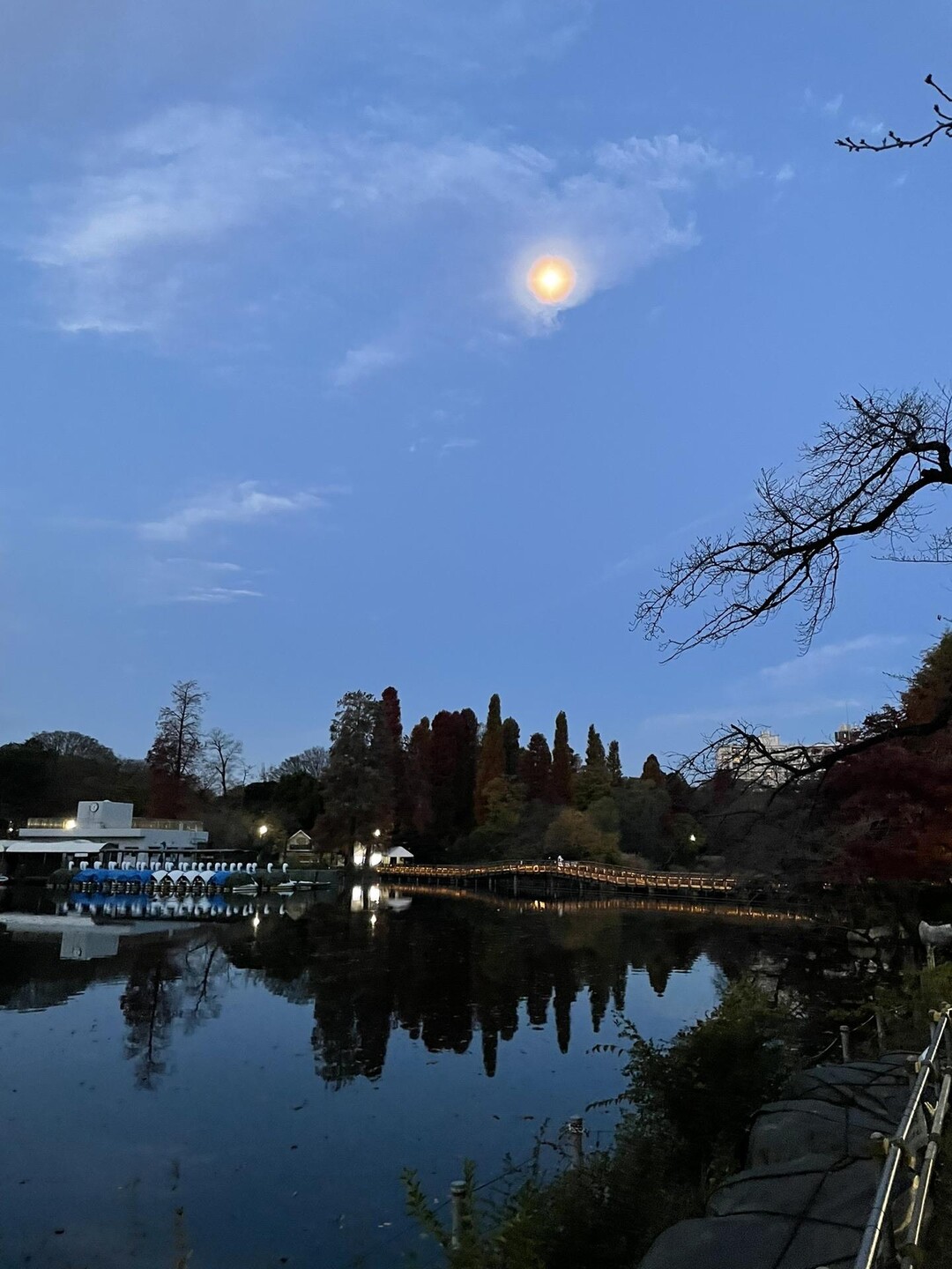 続、今朝の月🌕と井の頭池。 ♪月がとっ... / はなけんさんのモーメント | YAMAP / ヤマップ