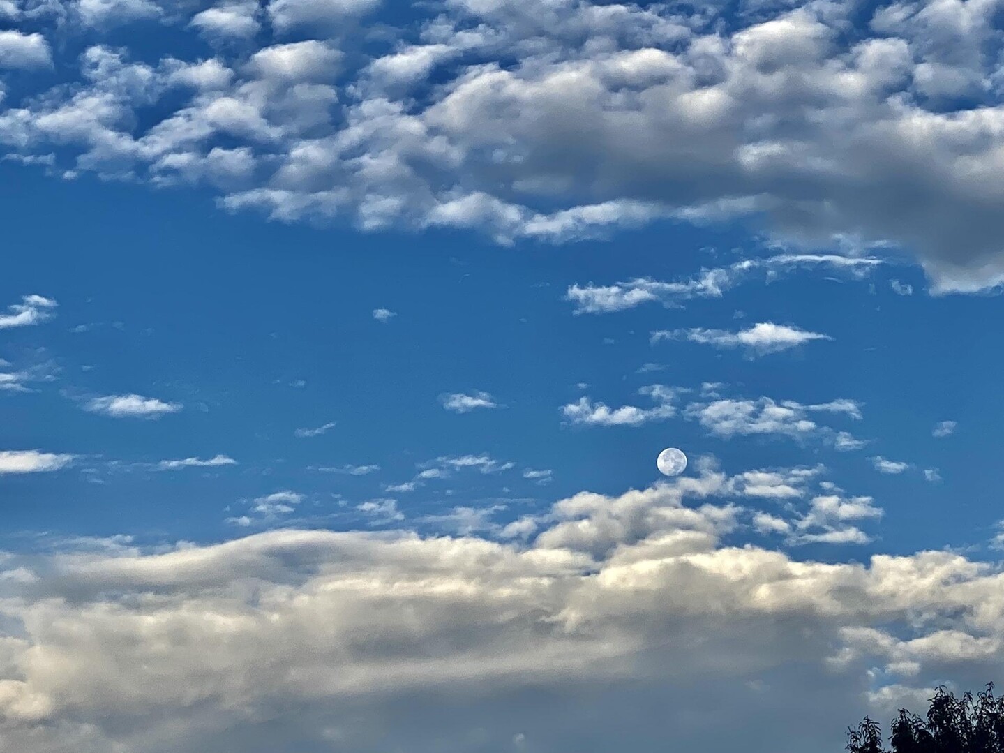 明け方の月を「暁月(ぎょうげつ)」と言う... / Koki・Fさんのモーメント | YAMAP / ヤマップ