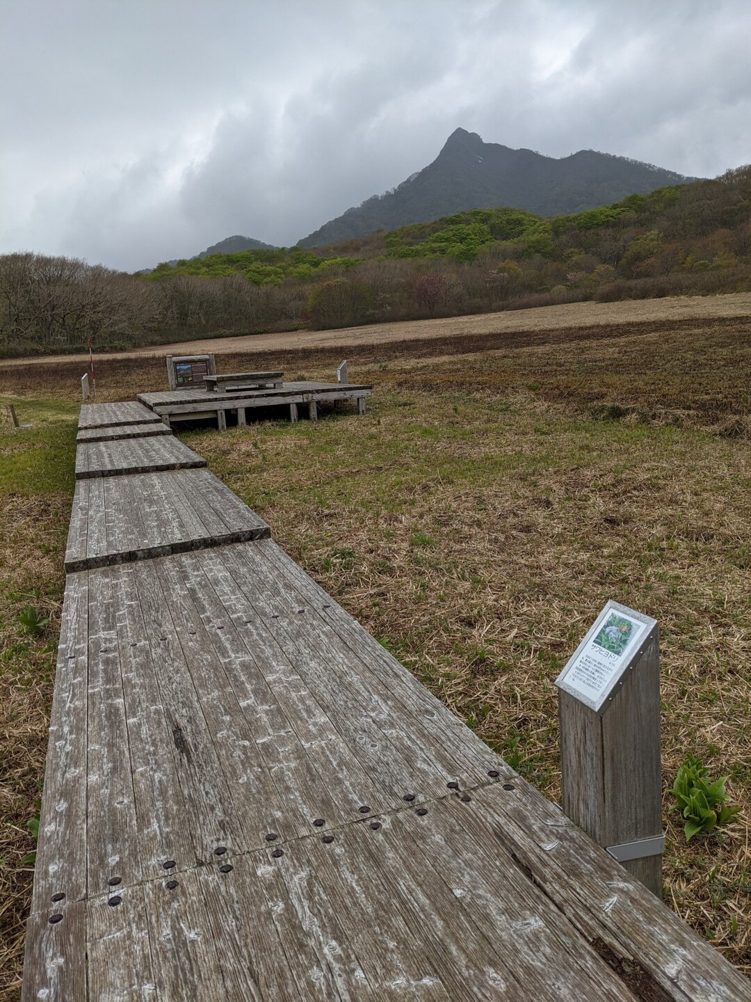 2021.04.30(金) 06:42 / ホタルさんのモーメント | YAMAP / ヤマップ