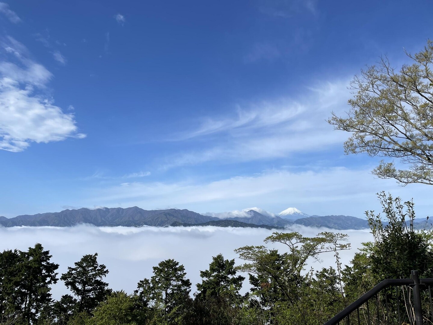 高尾山-小仏城山-相模湖駅トレ（ザック16 kg） / serickさんの高尾山・陣馬山・景信山の活動データ | YAMAP / ヤマップ