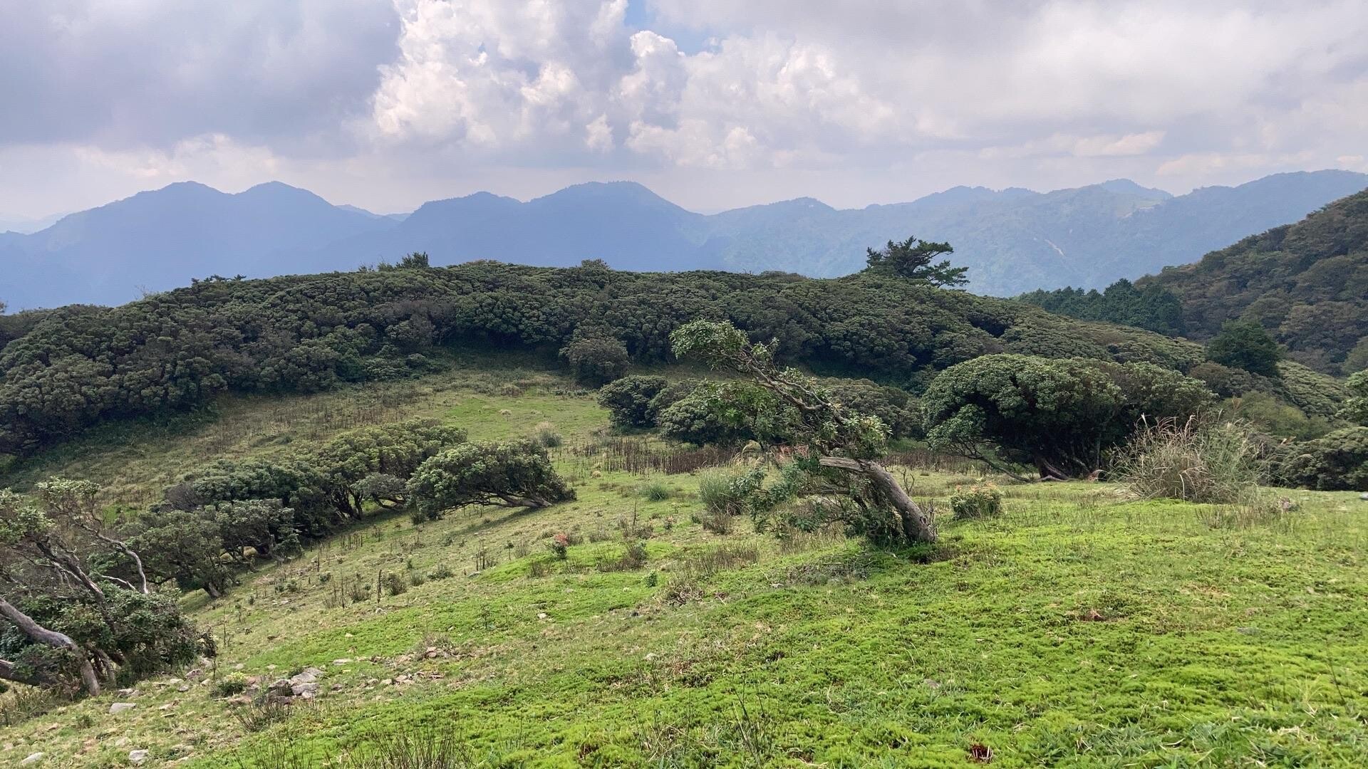 R5.9.16 入道ヶ岳 / こじかさんの入道ヶ岳・鎌ヶ岳・仙ヶ岳の活動日記 | YAMAP / ヤマップ