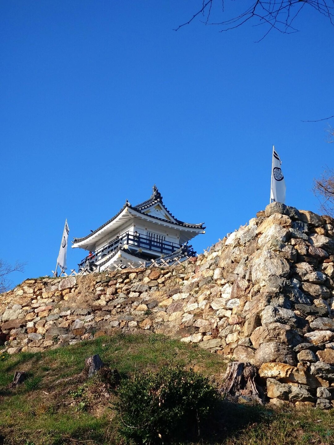 続日本100名城・・・「浜松城」 / fumiさんの浜松市（中区・東区・南区・西区）の活動データ | YAMAP / ヤマップ
