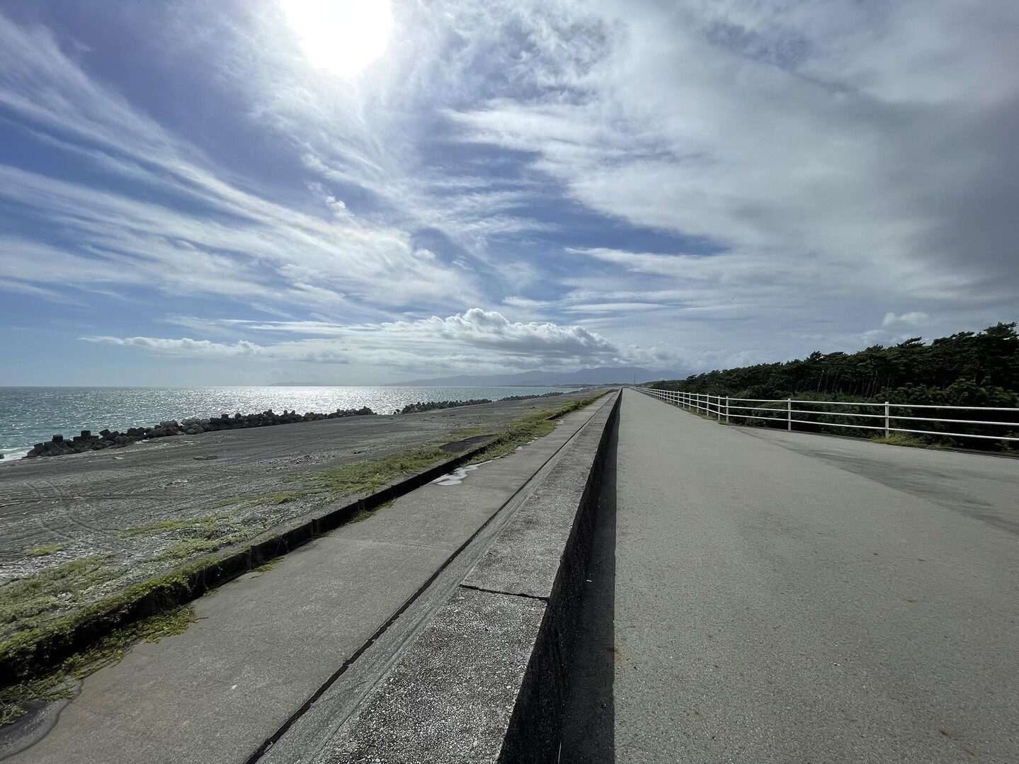 富士市内散策 1 / U・x・U ポチ@ひよっこトレイルウォーカーさんの愛鷹山・大岳・黒岳の活動データ | YAMAP / ヤマップ