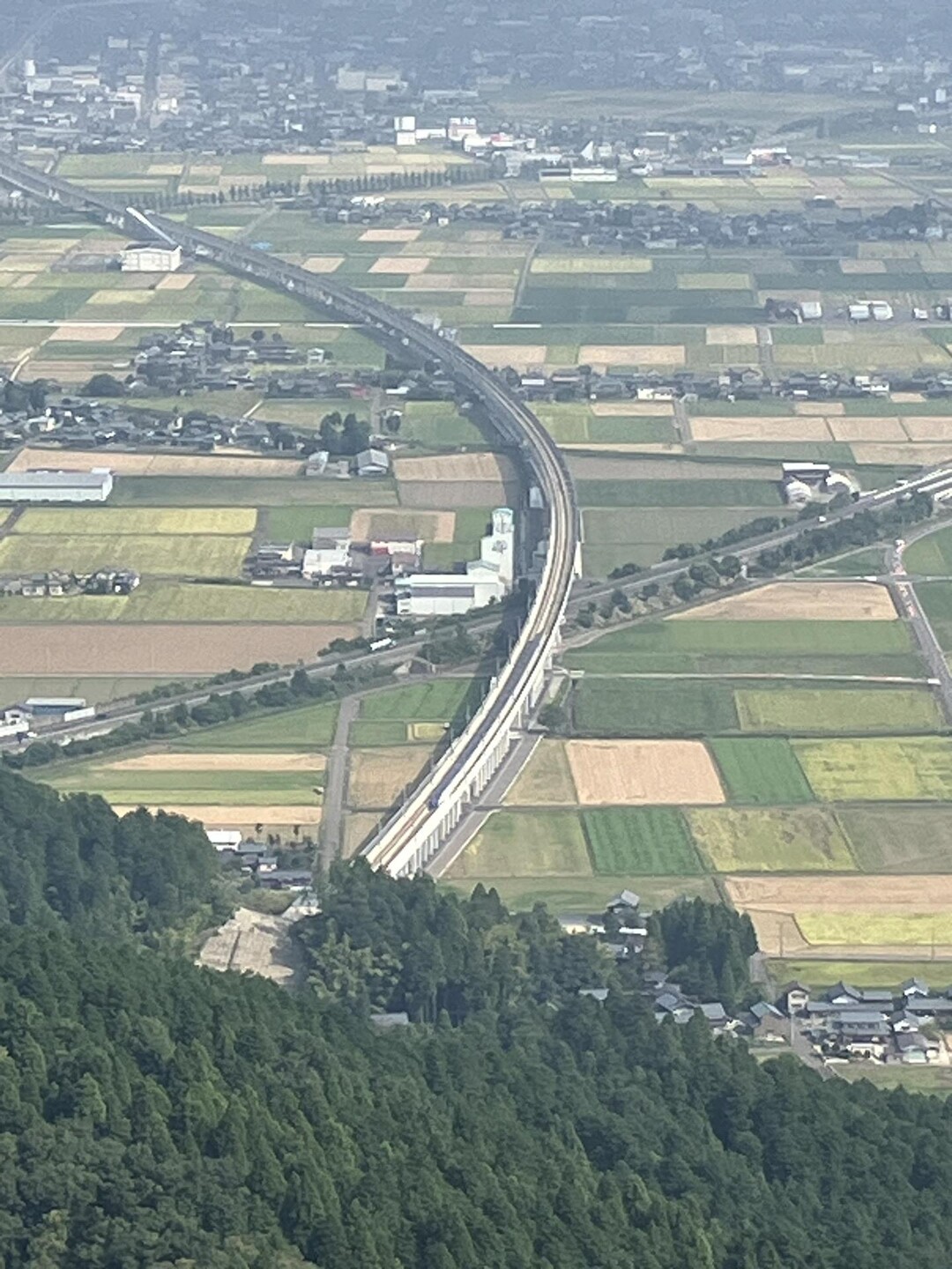 朝トレ 文殊山 〜大正寺から〜 / リバーオリーブさんの文殊山の活動データ | YAMAP / ヤマップ
