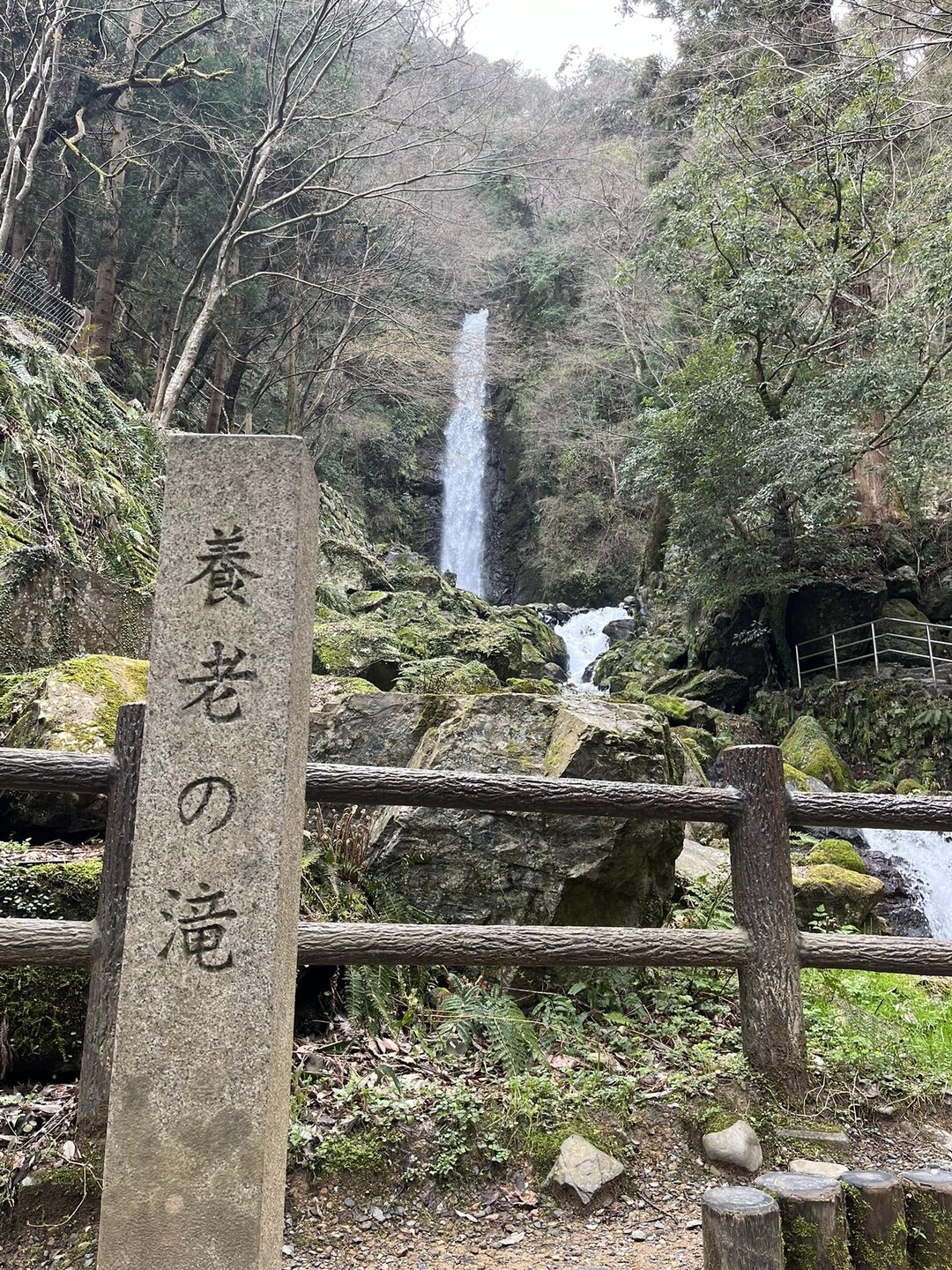 北尾根P826峰・小倉山・養老山・三方山 / なおさんの養老山・笙ヶ岳・三方山の活動データ | YAMAP / ヤマップ