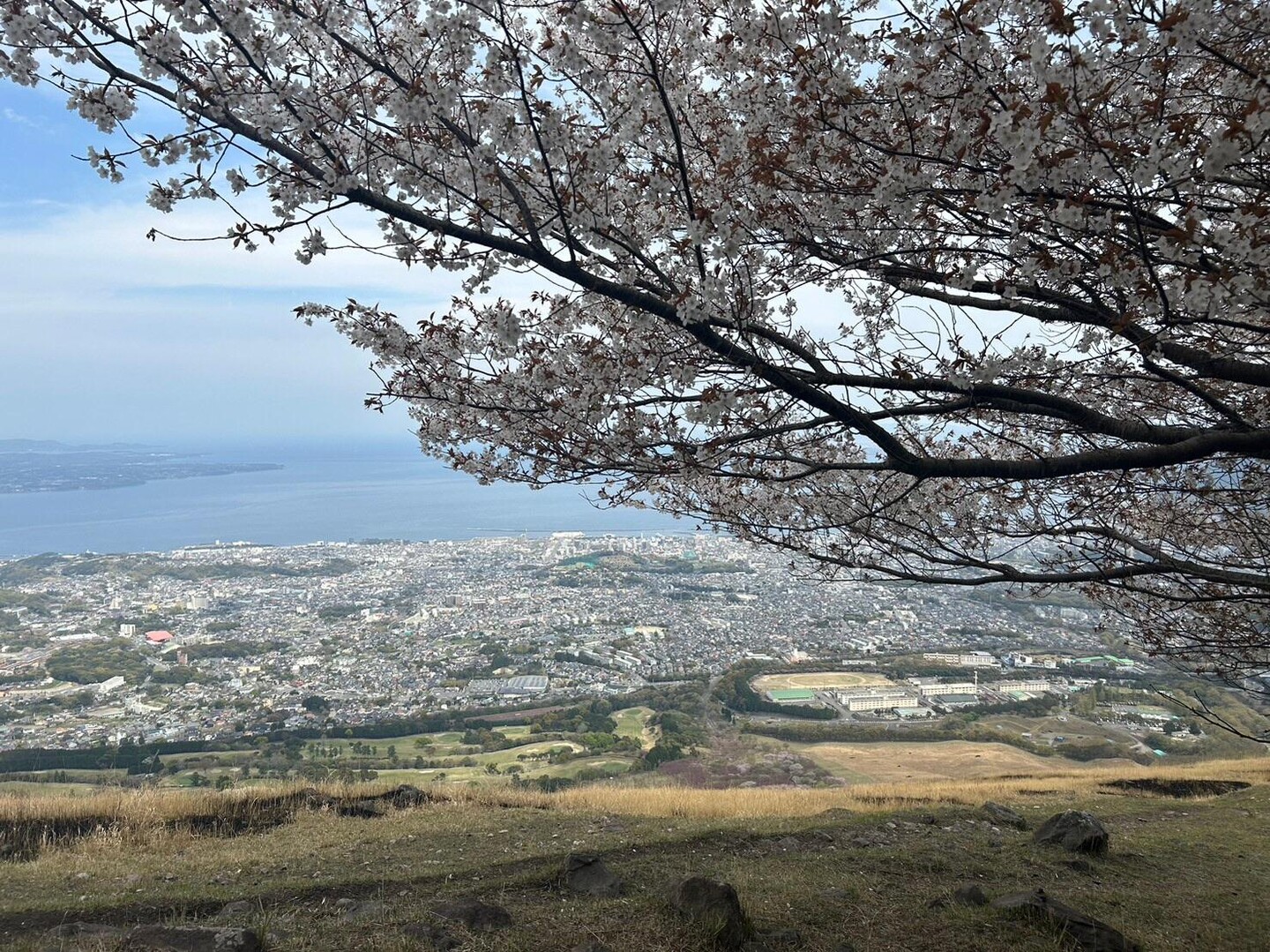 扇山（大平山） / ryokoさんの由布岳・鶴見岳の活動データ | YAMAP / ヤマップ