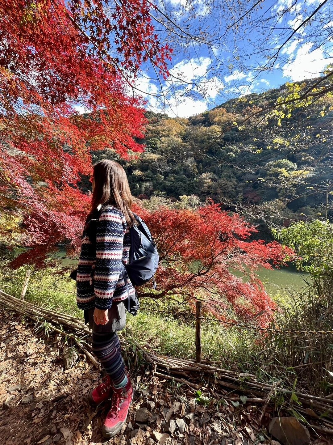 愛岐トンネル 秋の一般公開 / ke-kunさんのウォーキングの活動データ | YAMAP / ヤマップ