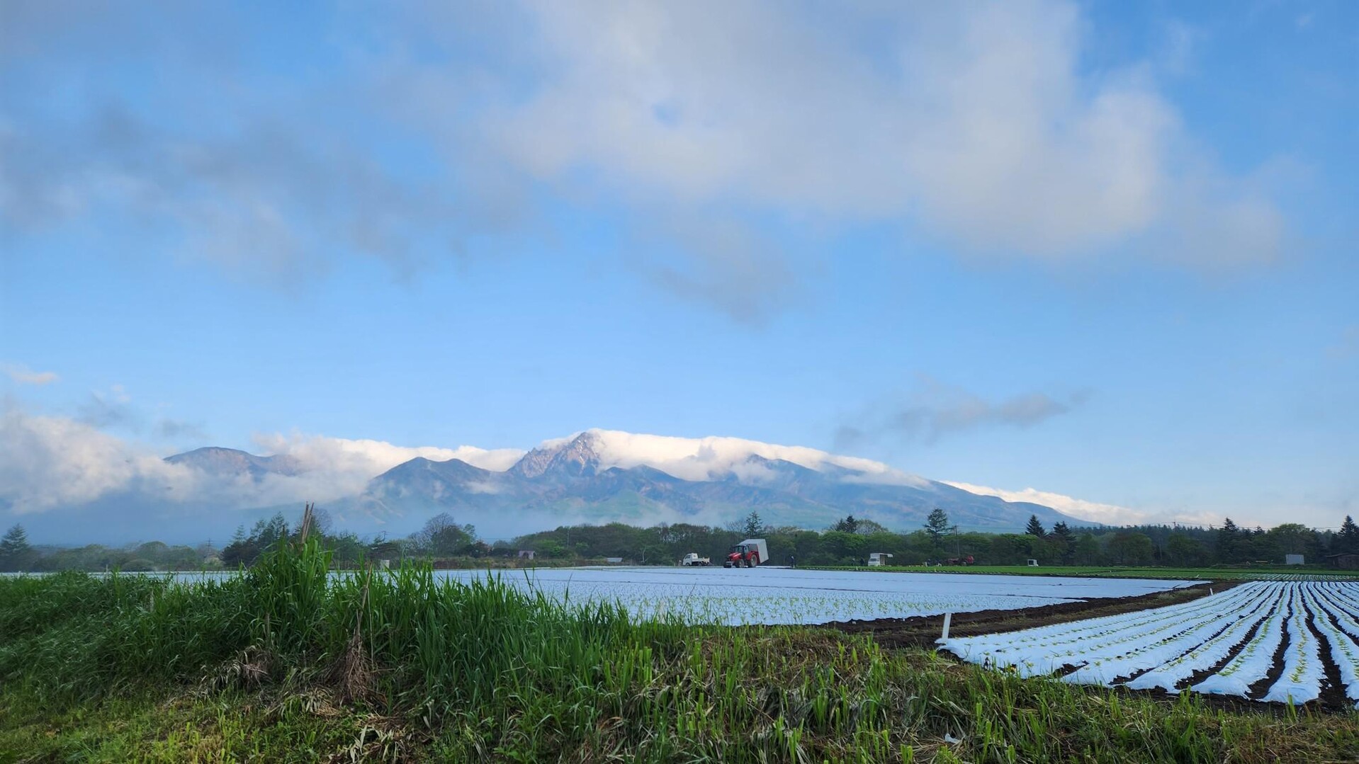 野辺山ウルトラマラソン100k 撃沈 / yuki さんのランニングの活動データ | YAMAP / ヤマップ