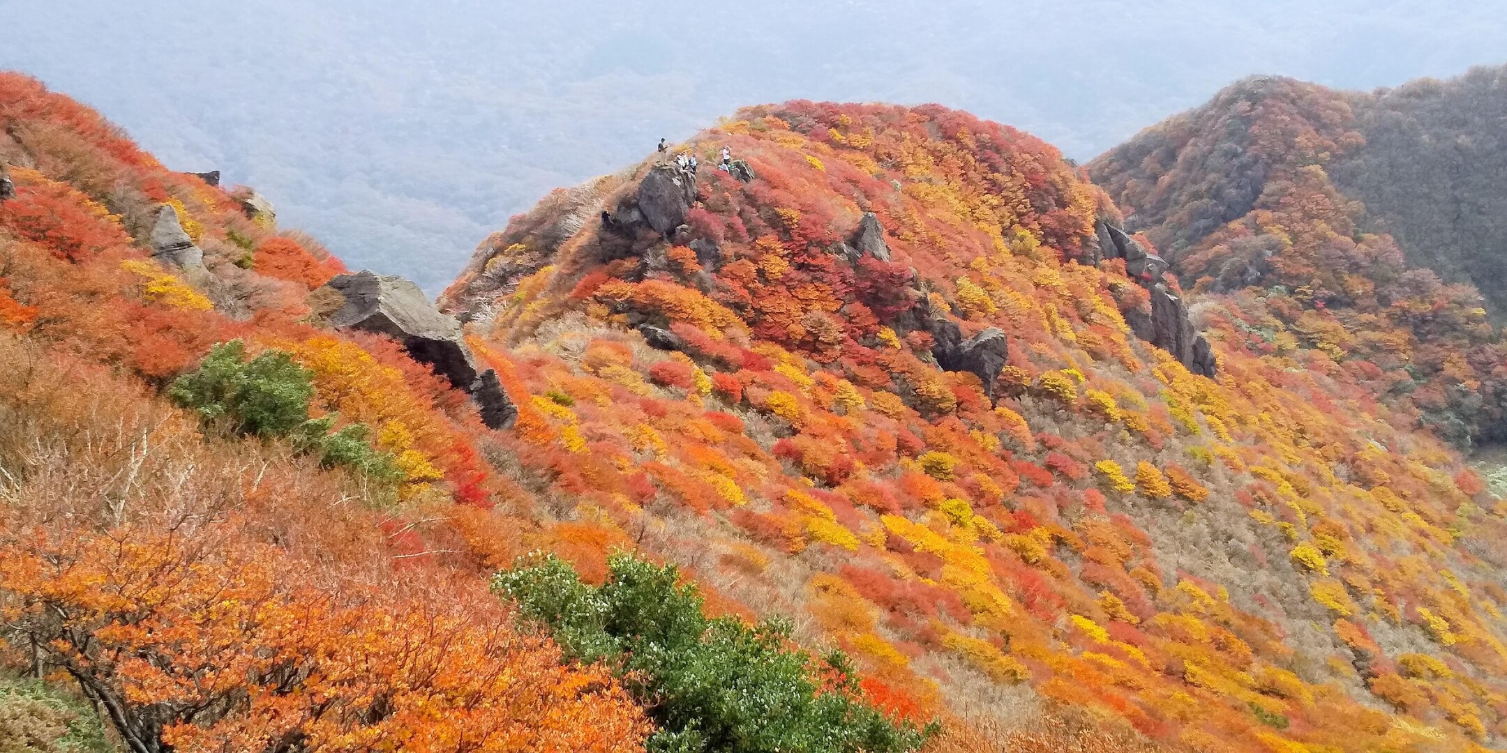 三俣山 紅葉最高 ️ / かんたろうさんの九重山（久住山）・大船山・星生山の活動データ | YAMAP / ヤマップ