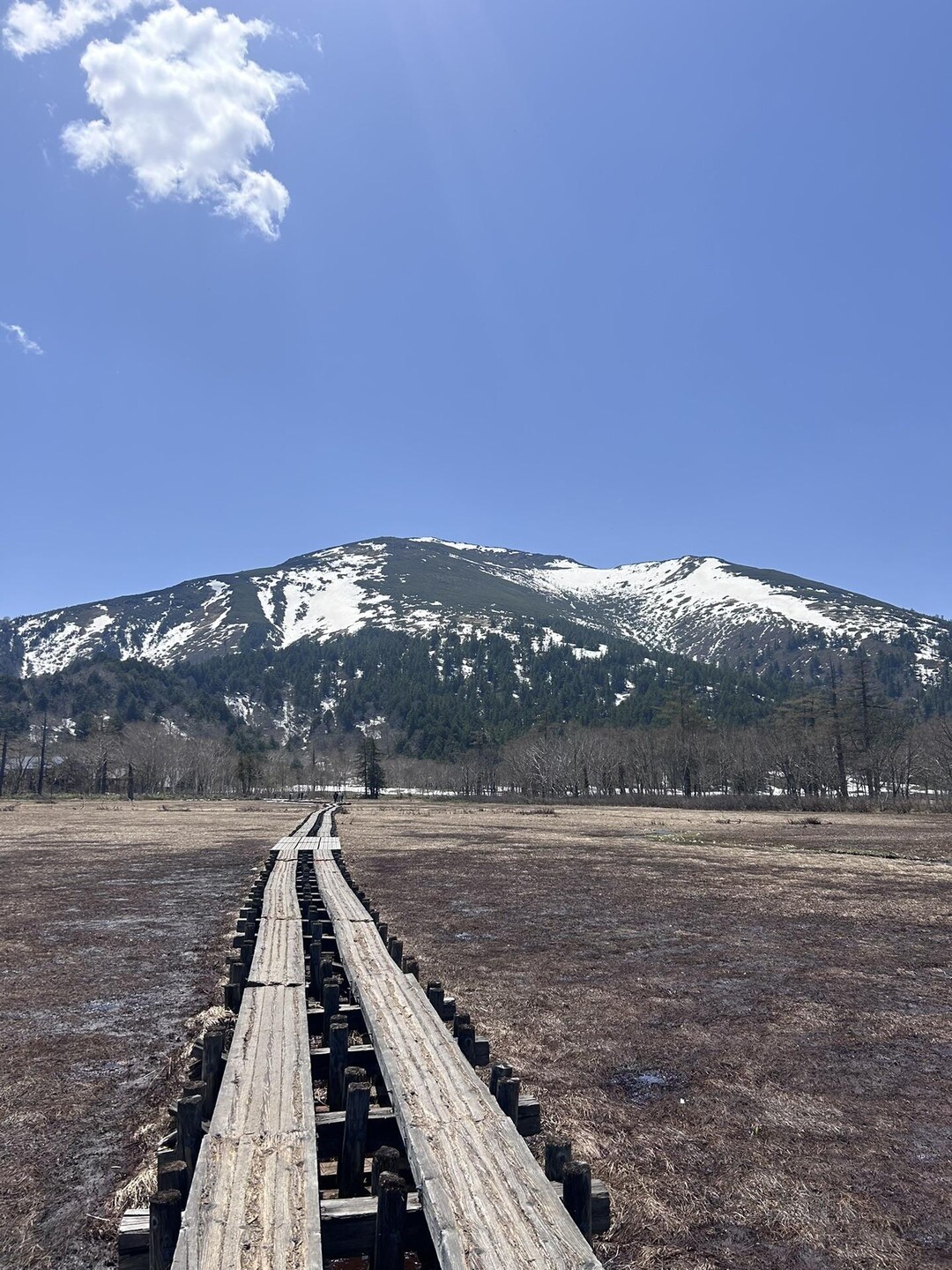 至仏山・期間限定ルートでソリ遊び / ynさんの尾瀬・至仏山・悪沢岳・笠ヶ岳の活動データ | YAMAP / ヤマップ