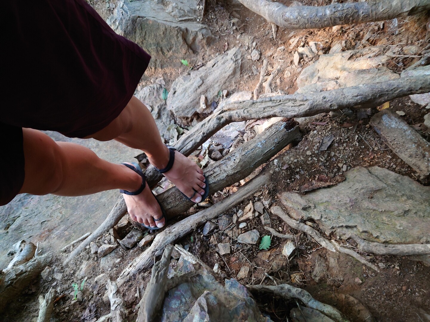 吾妻山3本勝負 / ta2さんの鳴神山・吾妻山の活動データ | YAMAP / ヤマップ