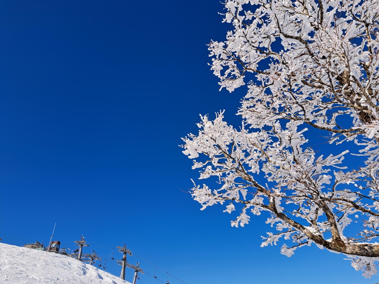ハチ北2024.1.29 / かおぴさんの氷ノ山（須賀ノ山）・鉢伏山・瀞川山の活動日記 | YAMAP / ヤマップ