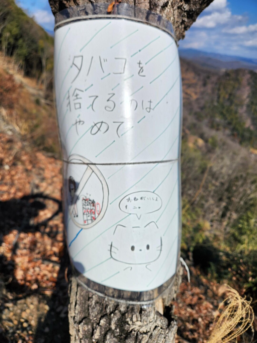 2025/01/25 両崖山 / papeさんの両崖山・仙人ヶ岳・石尊山の活動データ | YAMAP / ヤマップ