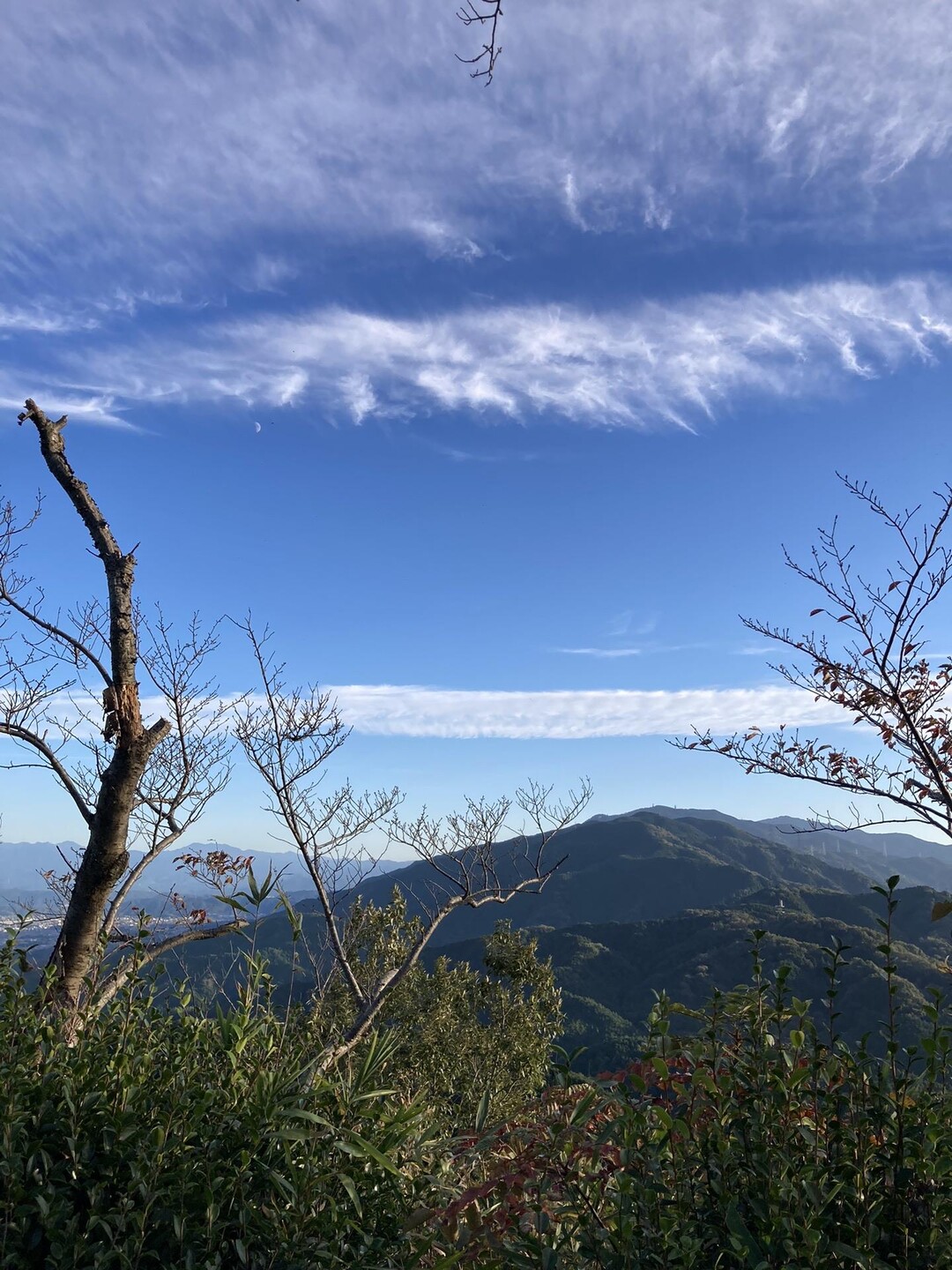 二上山（雌岳） / Hiro-sanさんの金剛山・二上山・大和葛城山の活動データ | YAMAP / ヤマップ