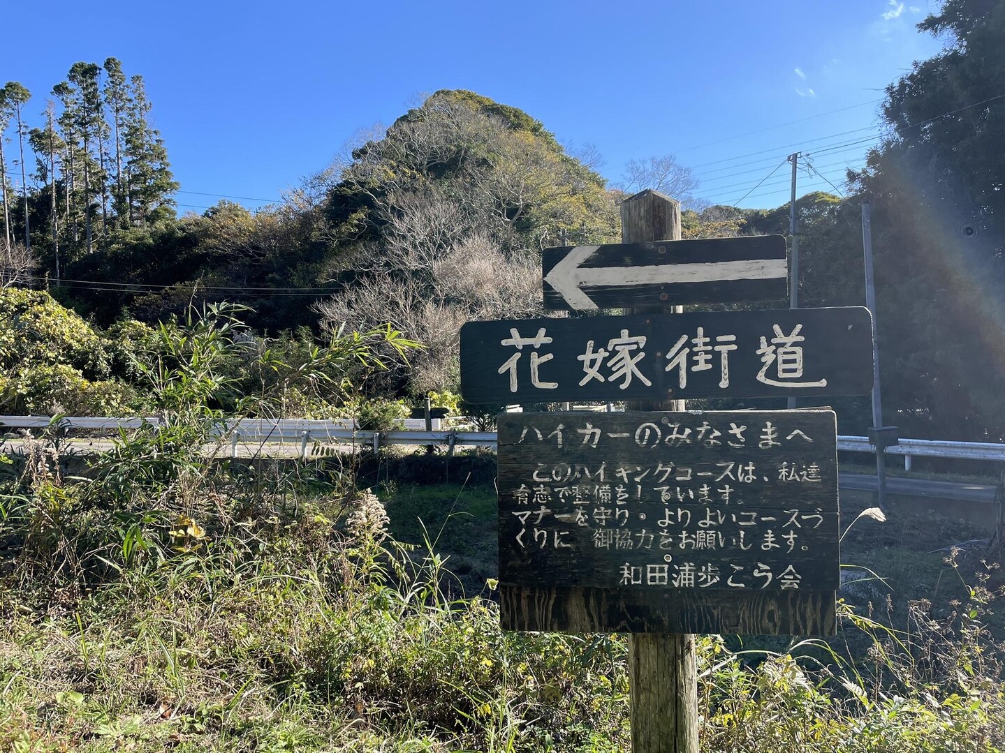 烏場山(花嫁街道) ︎新日本百名山 / maya_ponさんの烏場山・花嫁街道・高鶴山の活動データ | YAMAP / ヤマップ