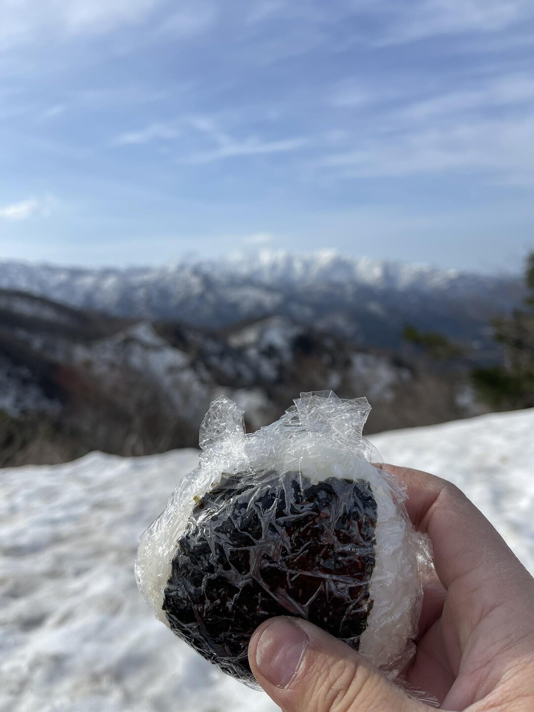 南保富士チョットだけ雪が有り / tatuさんの黒菱山・初雪山・負釣山の活動データ | YAMAP / ヤマップ
