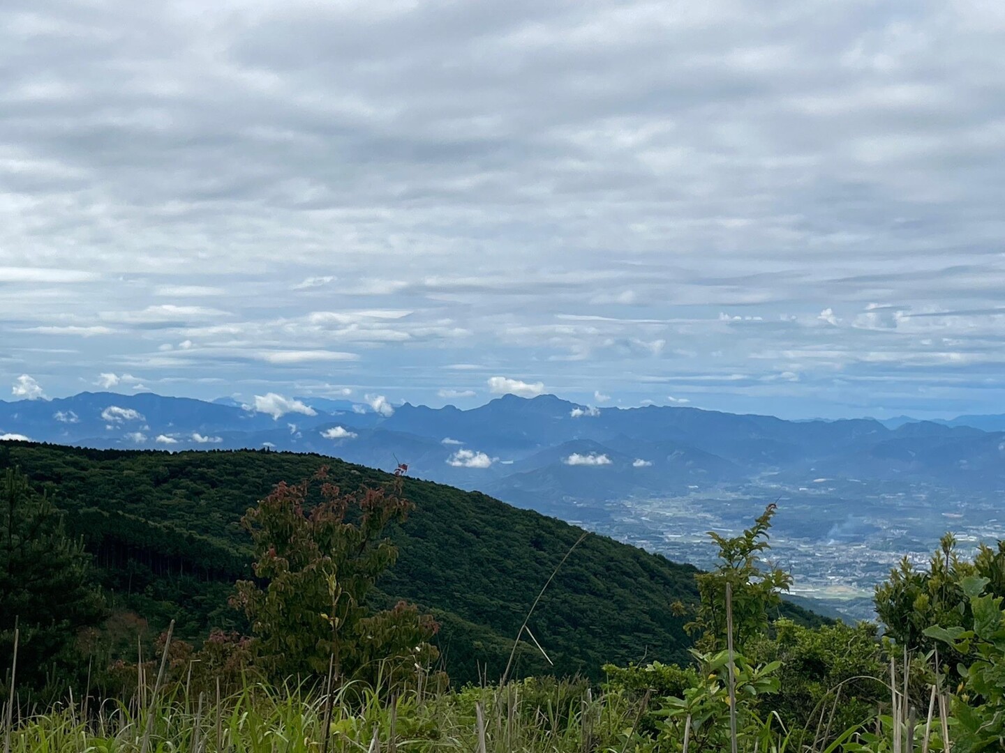 福智山 / bunさんの福智山・尺岳・雲取山の活動データ | YAMAP / ヤマップ