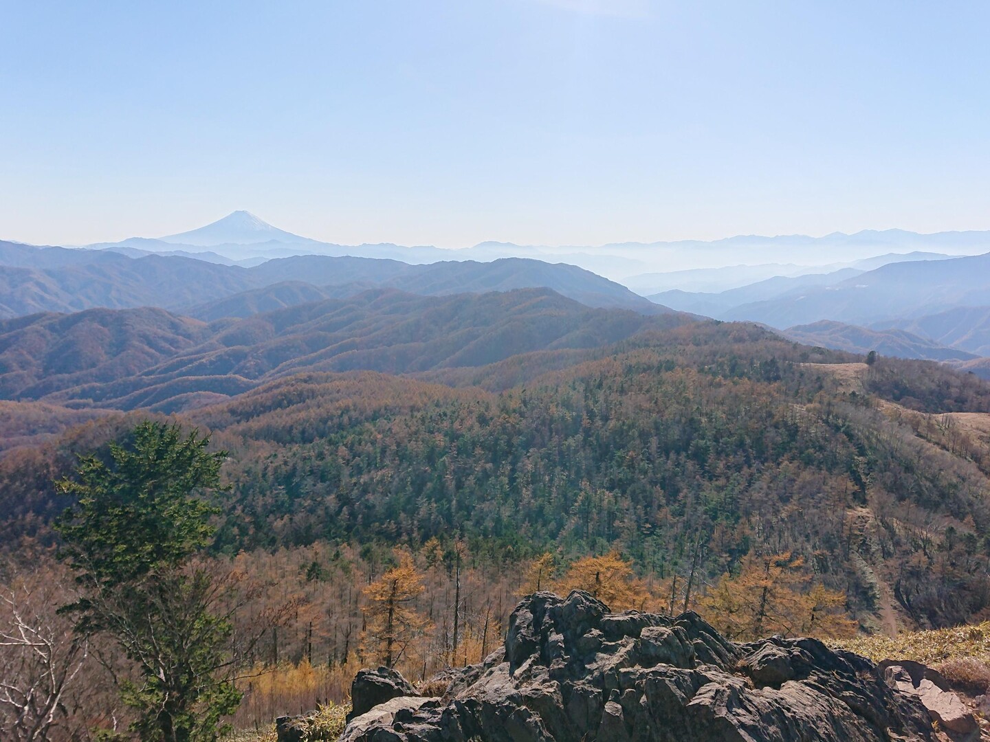 笠取山2022.11.03 / もとまつさんの和名倉山・笠取山・東仙波の活動データ | YAMAP / ヤマップ