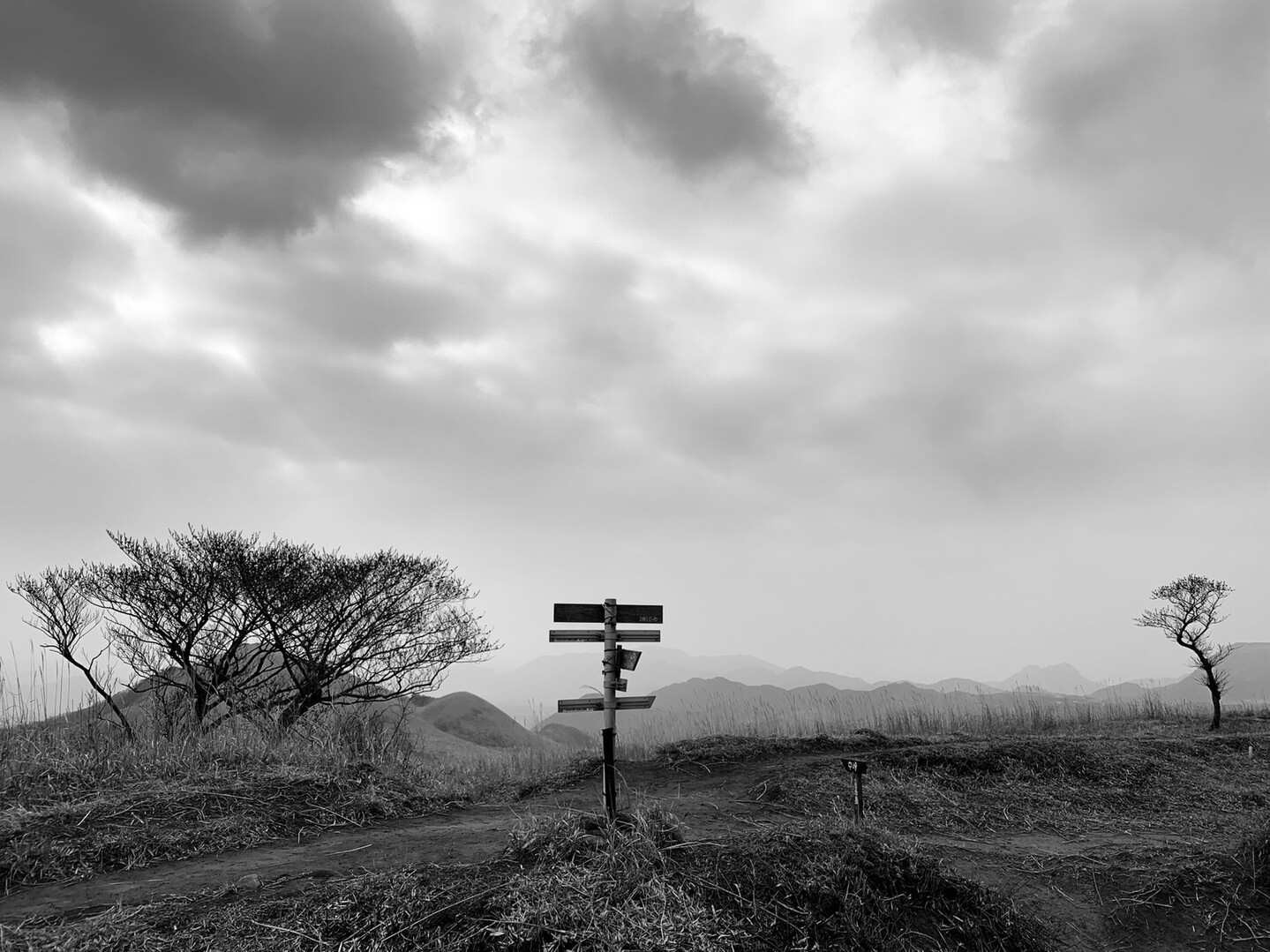 貫山・偽水晶山・大平山-2020-02-02 / motoyaさんの平尾台・貫山・水晶山の活動データ | YAMAP / ヤマップ