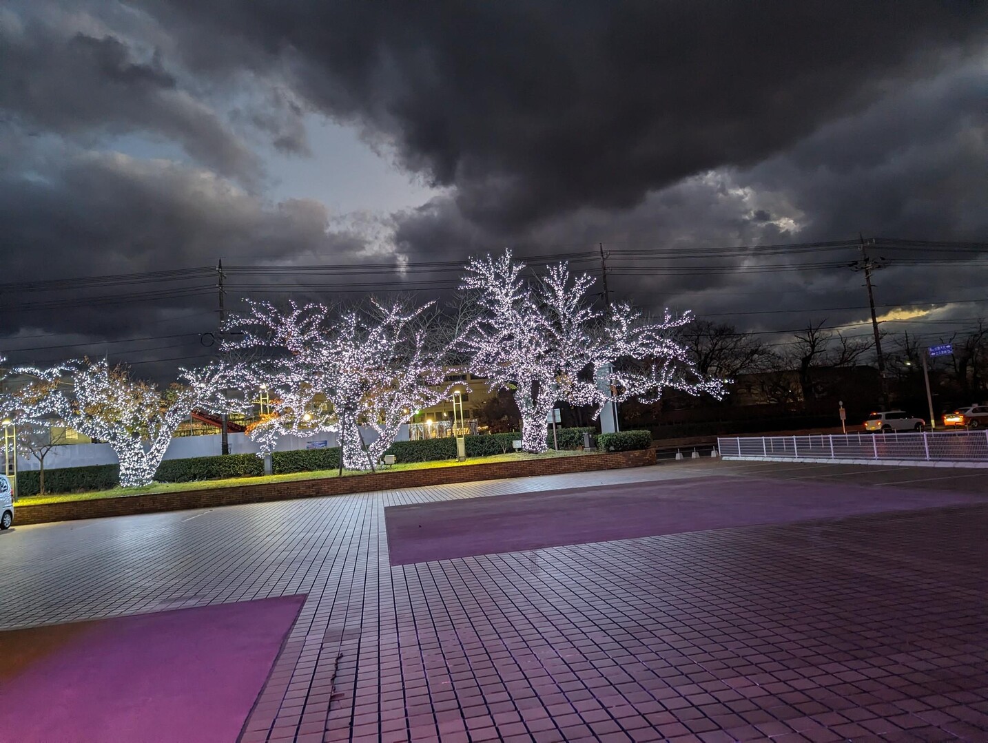 イルミネーション 綺麗でした😍 / Ranさんのモーメント | YAMAP / ヤマップ