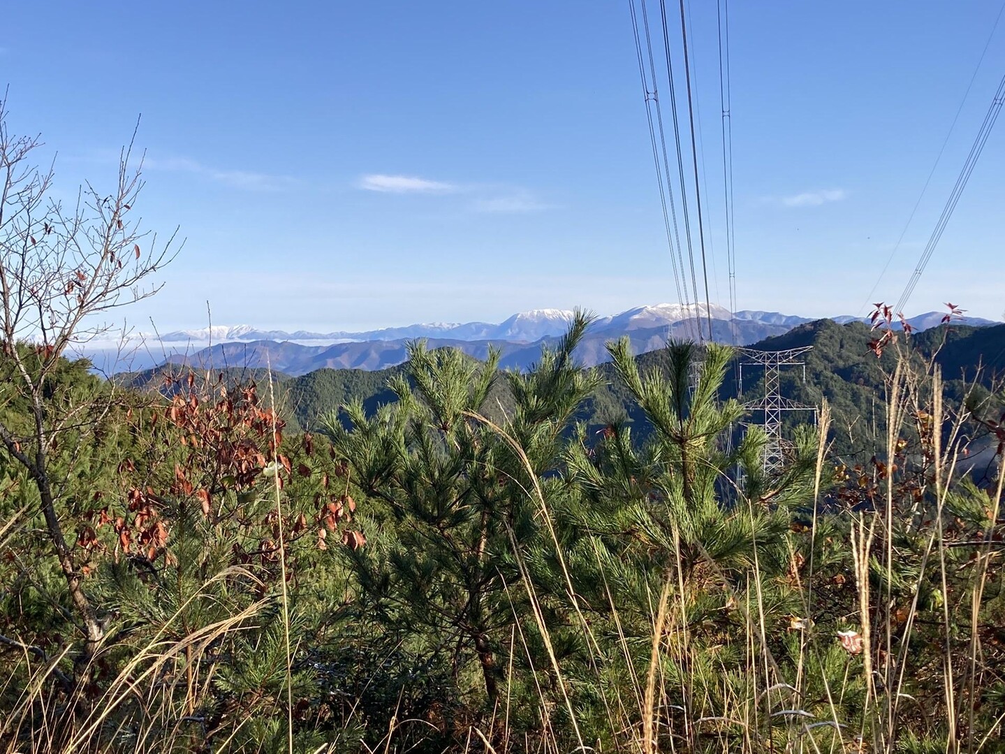 押立山、高取山、八ツ尾山他 鈴鹿50座と300と後いろいろなバリエーションルートをもさもさ歩き / うえこさんの押立山の活動データ | YAMAP / ヤマップ