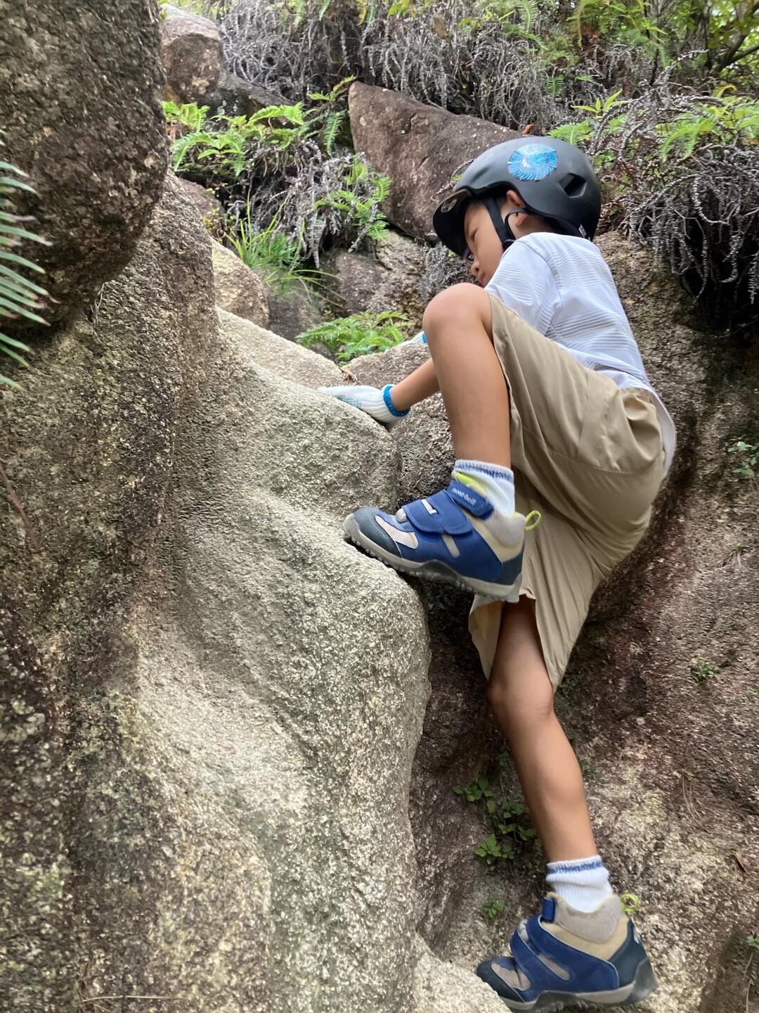 右田ヶ岳 夕夜トレッキング2024-09-29 / @shun 1さんの右田ヶ岳・西目山・楞厳寺山の活動データ | YAMAP / ヤマップ