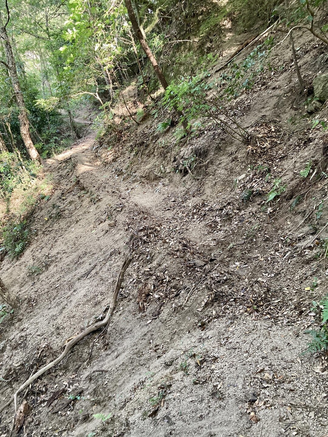 HIDEさんの投稿したフィールドメモ | YAMAP / ヤマップ