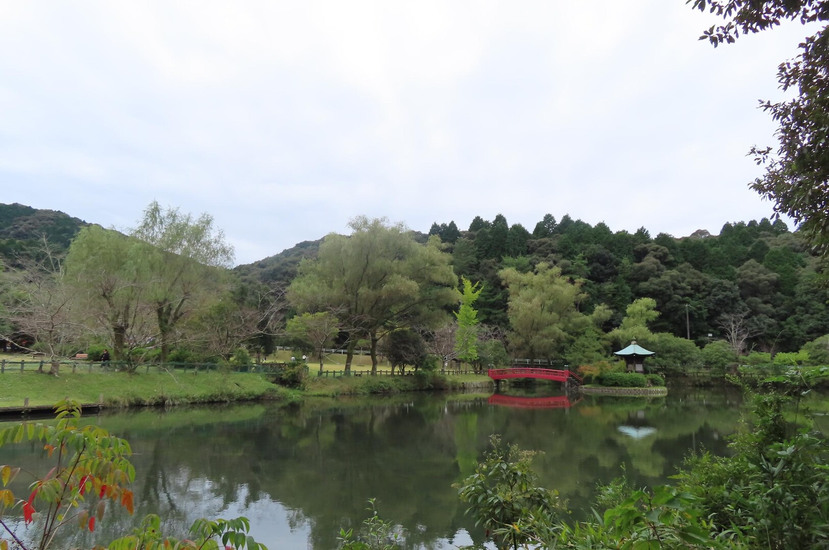 山星山・高根山 / ss5さんの山星山・高根山の活動データ | YAMAP / ヤマップ