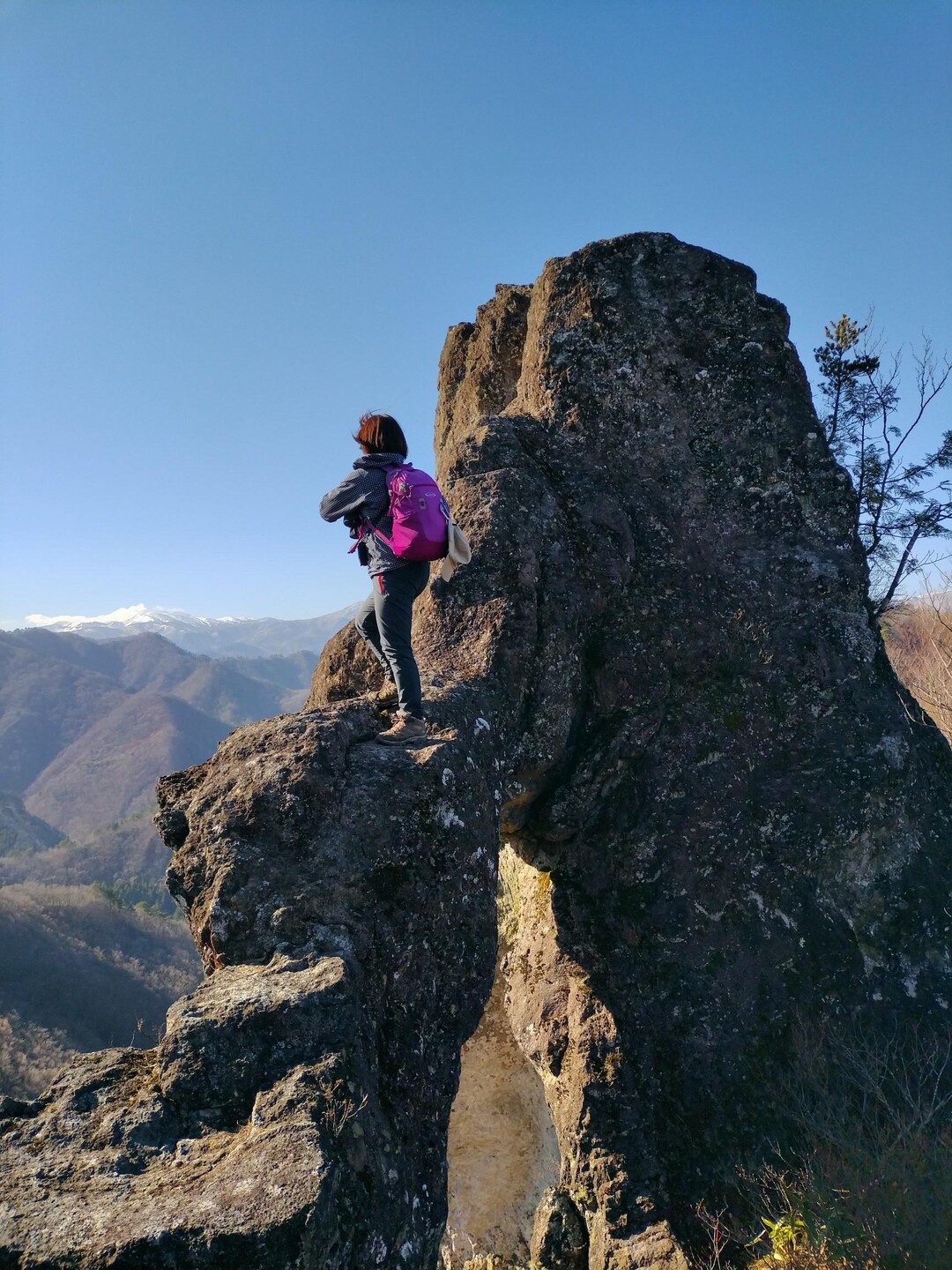 オボコンベ山 / drumscoさんのオボコンベ山・桐ノ目山の活動データ | YAMAP / ヤマップ
