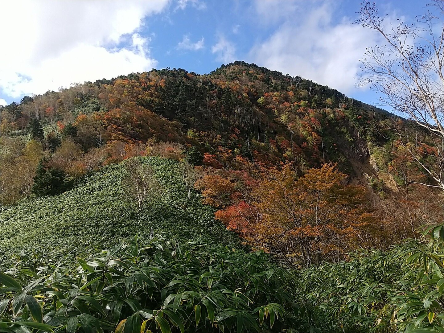 大判山・恵那山(Ena-san) / やまんちゅうさんの恵那山・大判山・神坂山の活動日記 | YAMAP / ヤマップ