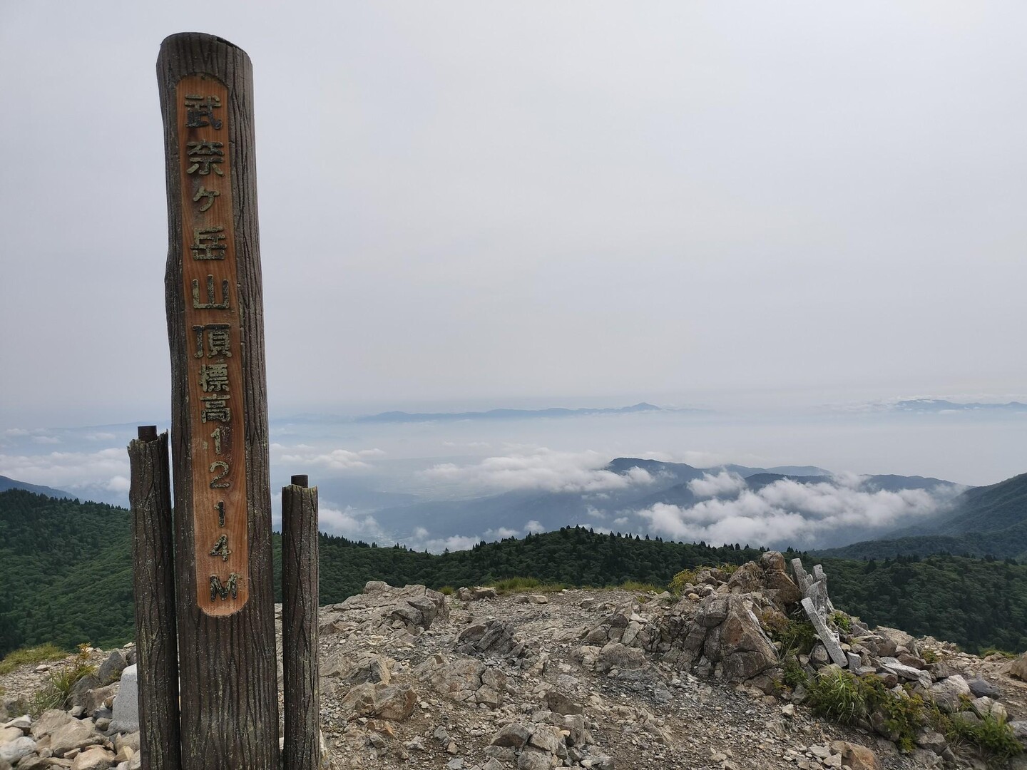 ソロ131 コヤマノ岳・武奈ヶ岳 / J.BOYさんの比良山地・武奈ヶ岳・釈迦岳の活動データ | YAMAP / ヤマップ
