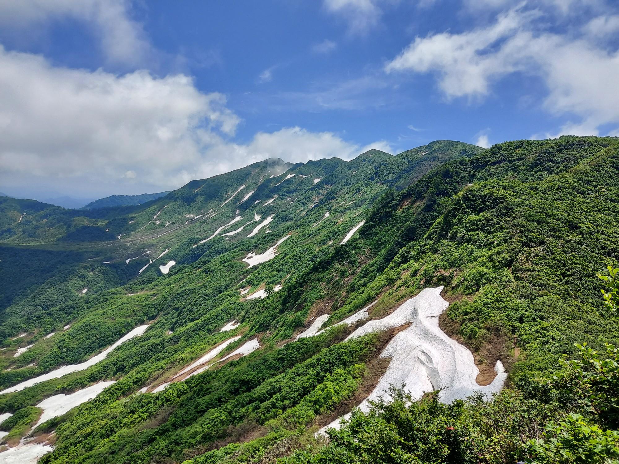 6/28ヒメサユリに会いに①～守門岳 / Ikuさんの守門岳・大岳・網張山の活動データ | YAMAP / ヤマップ