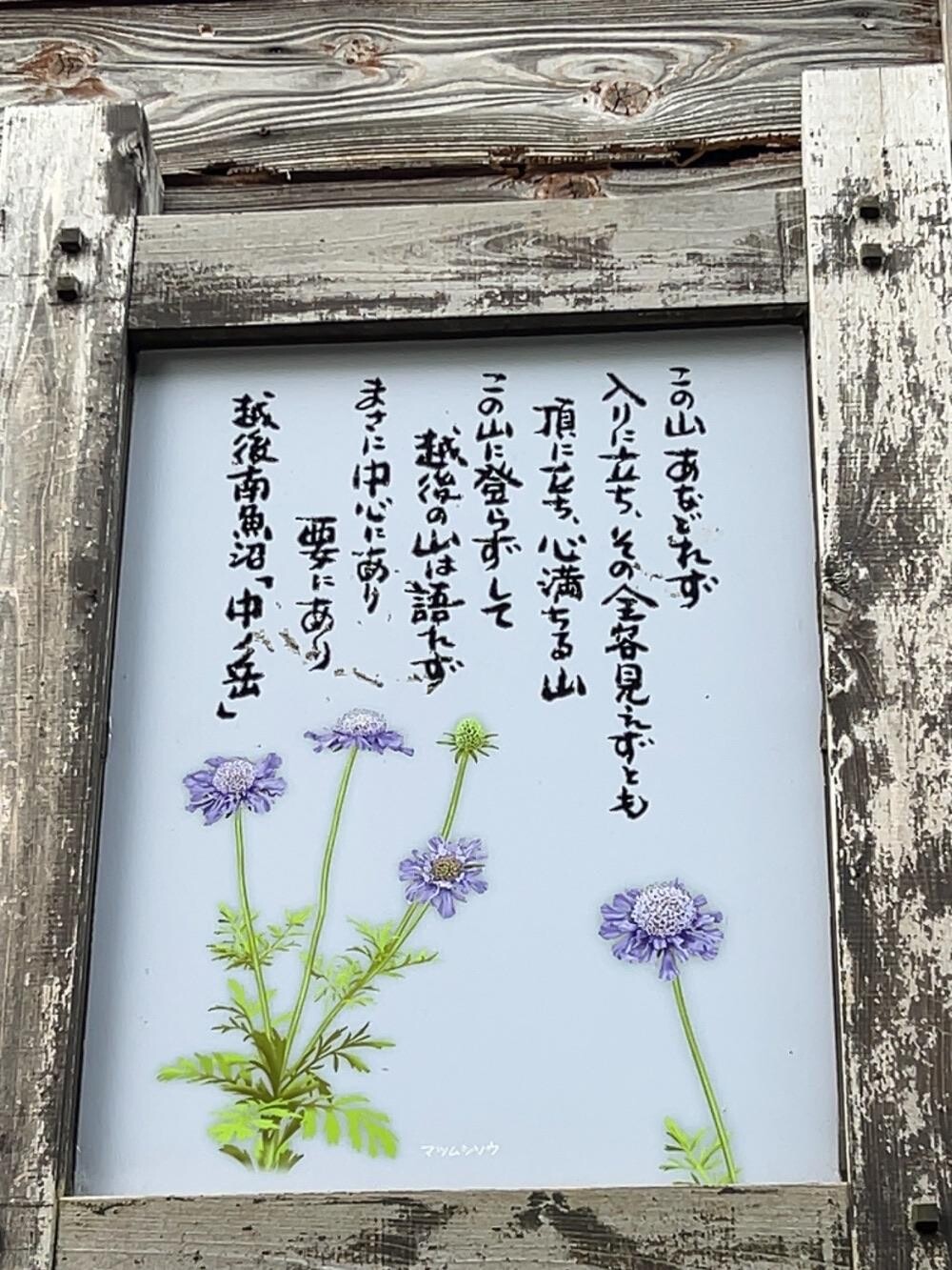 この山あなどれず…中ノ岳⛰️ / sorarinnさんの越後駒ヶ岳・八海山・荒沢岳の活動日記 | YAMAP / ヤマップ