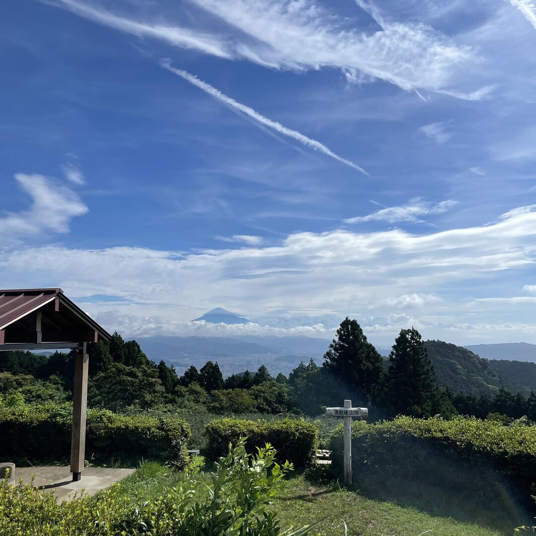 2024.07.15 海の日🌊満観峰 / tmkさんの焼津アルプス（高草山・満観峰・花沢山）・徳願寺山の活動データ | YAMAP / ヤマップ