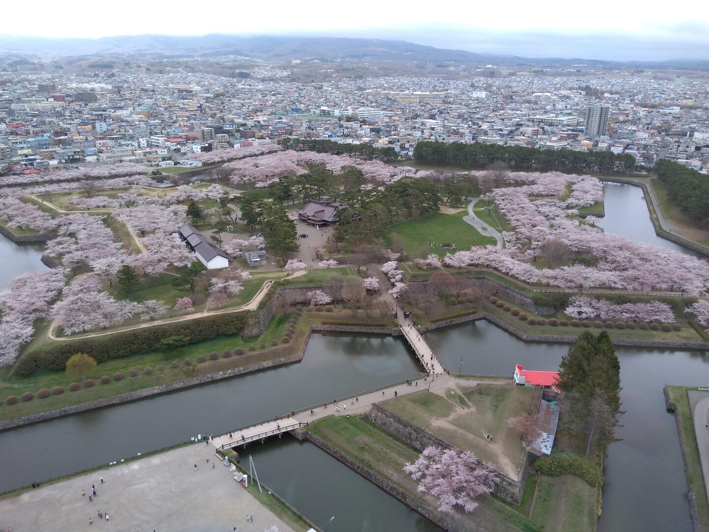 4月23日に松前城跡の桜、24日に五稜郭... / reiさんのモーメント | YAMAP / ヤマップ