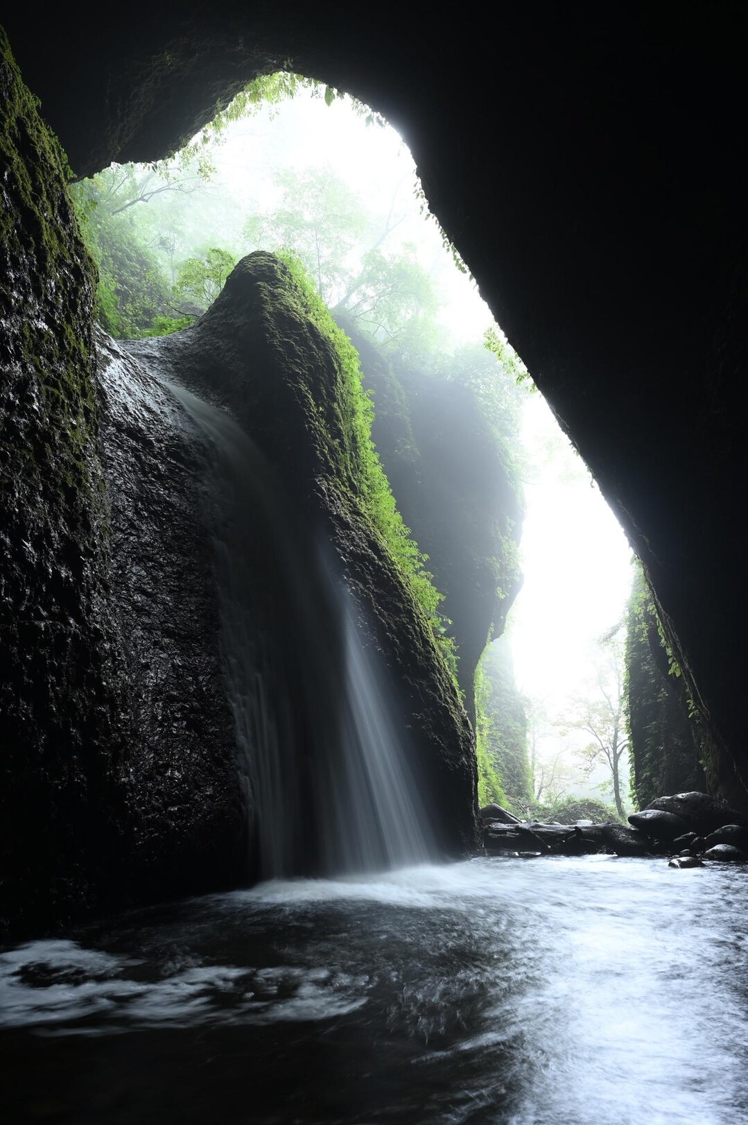 扇ノ山-2023-10-09 / KEIICHI・Kさんの扇ノ山の活動データ | YAMAP / ヤマップ