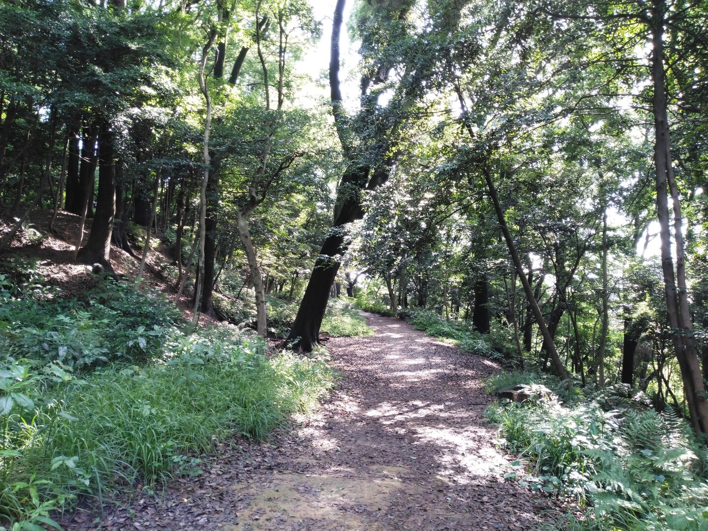 小牧山散策 / iyoatsuさんの小牧市の活動データ | YAMAP / ヤマップ