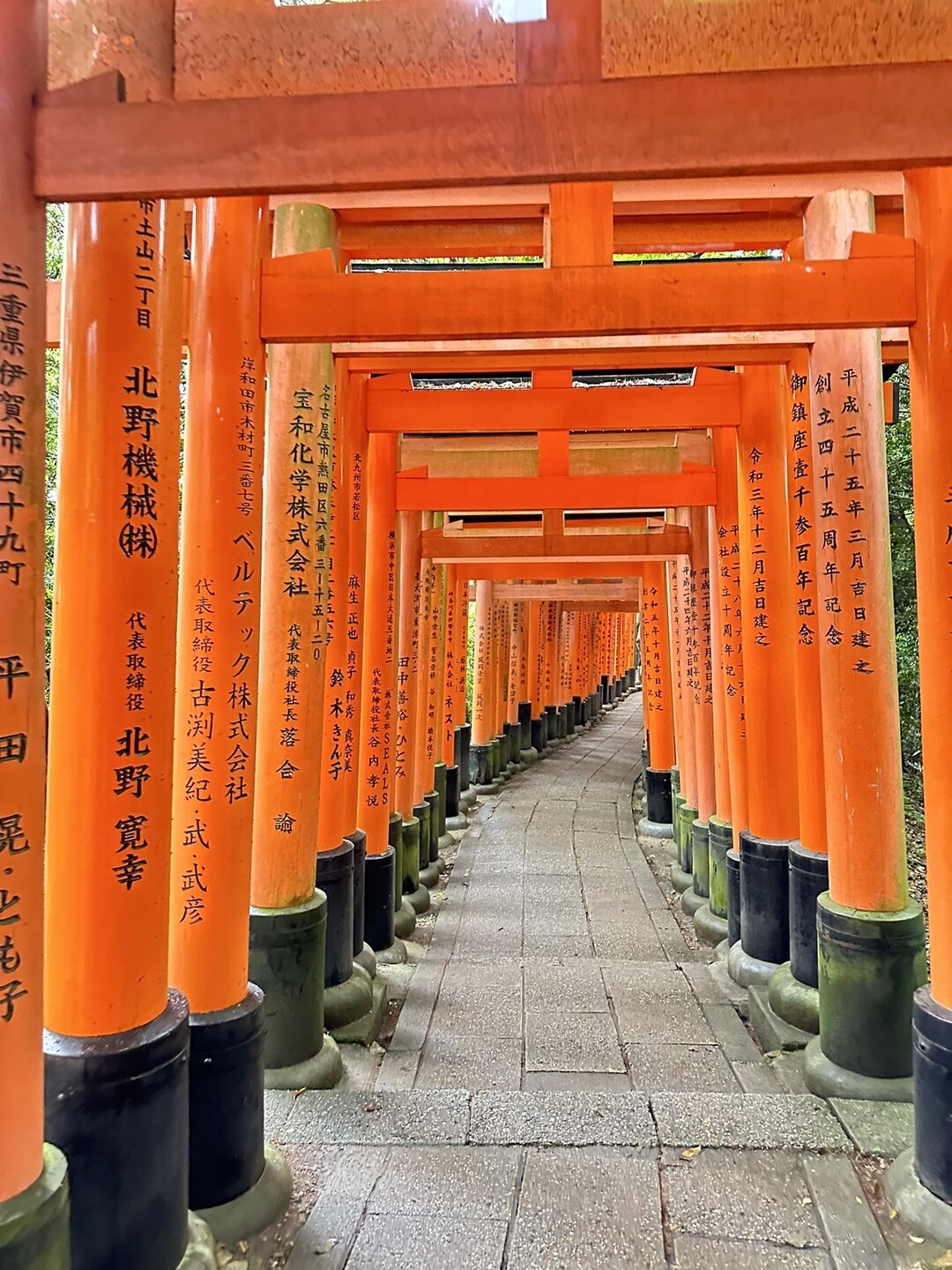 Peak Hunt Trip vol.3 大文字山⛰️ / digi sanさんの大文字山・如意ヶ嶽・稲荷山の活動データ | YAMAP / ヤマップ