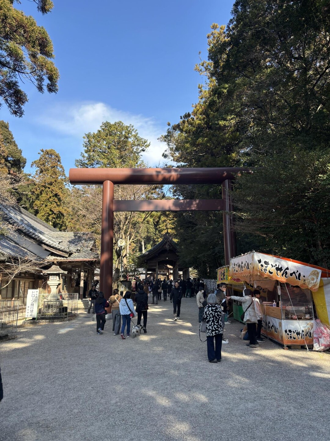猿投山周回20k / さーもすさんの猿投山・物見山の活動データ | YAMAP / ヤマップ