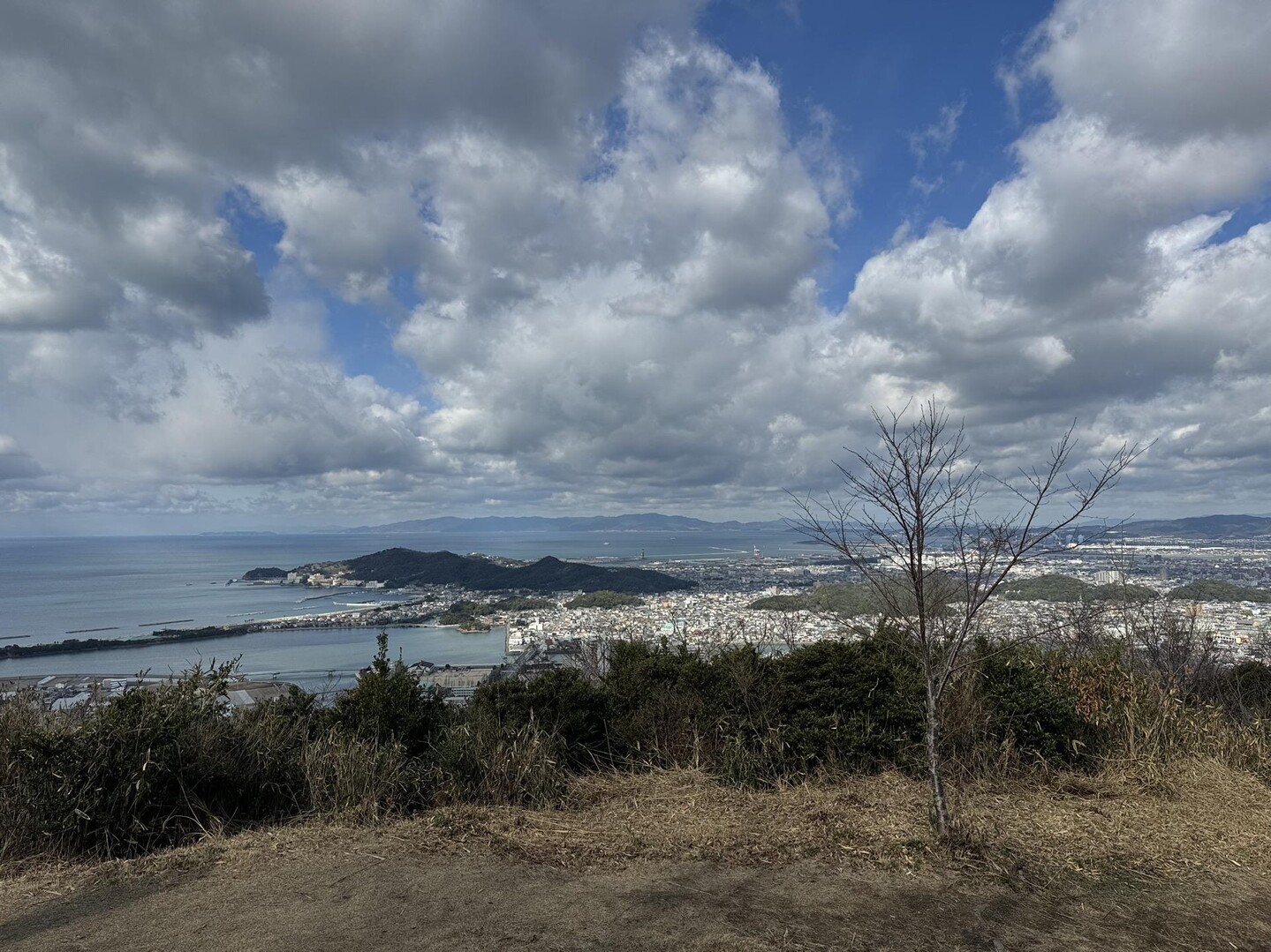 名草山 / Toru 1968さんの名草山の活動データ | YAMAP / ヤマップ